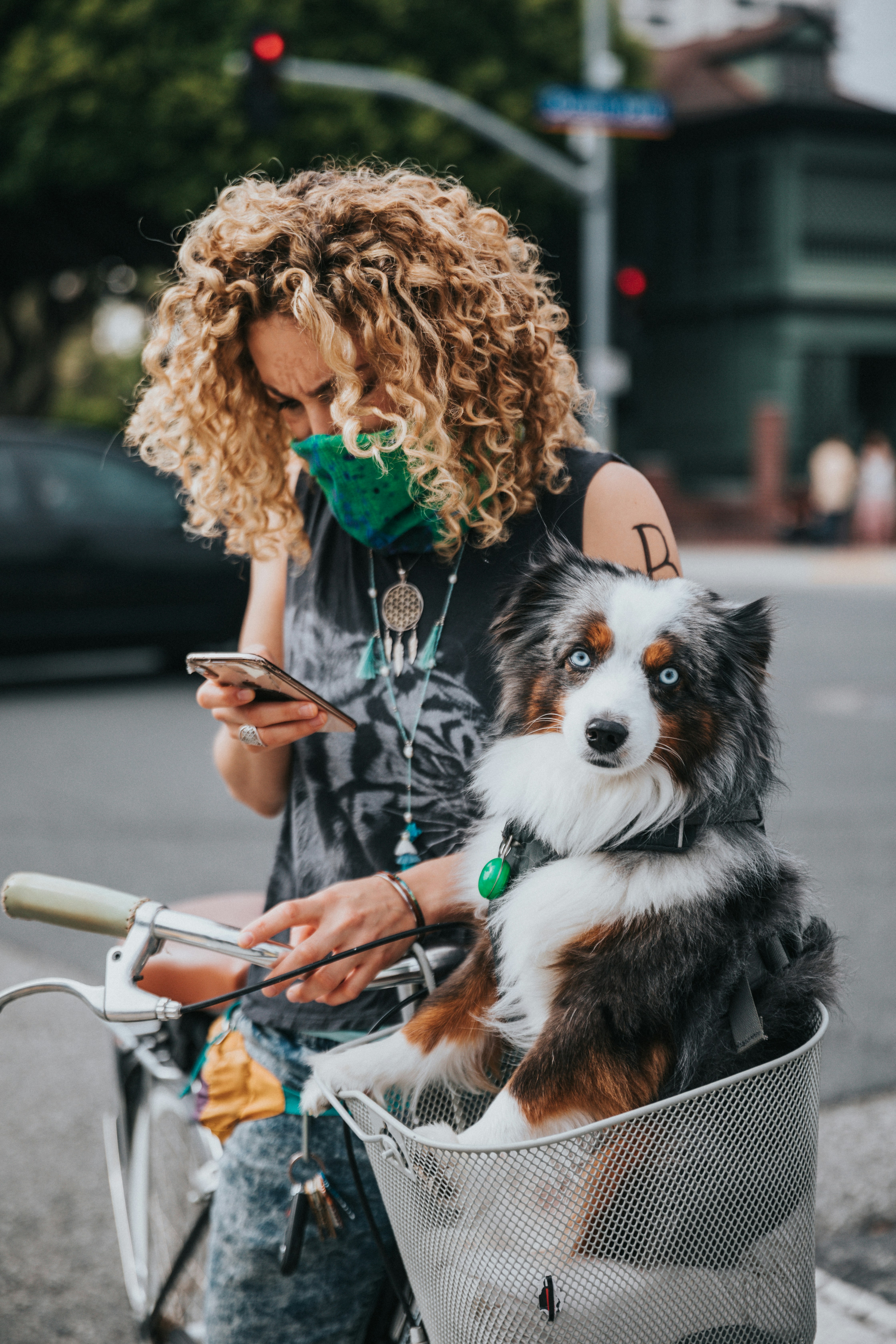City Biking Duo: Curly-Haired Rider and Her Watchful Australian Shepherd in a Front Basket