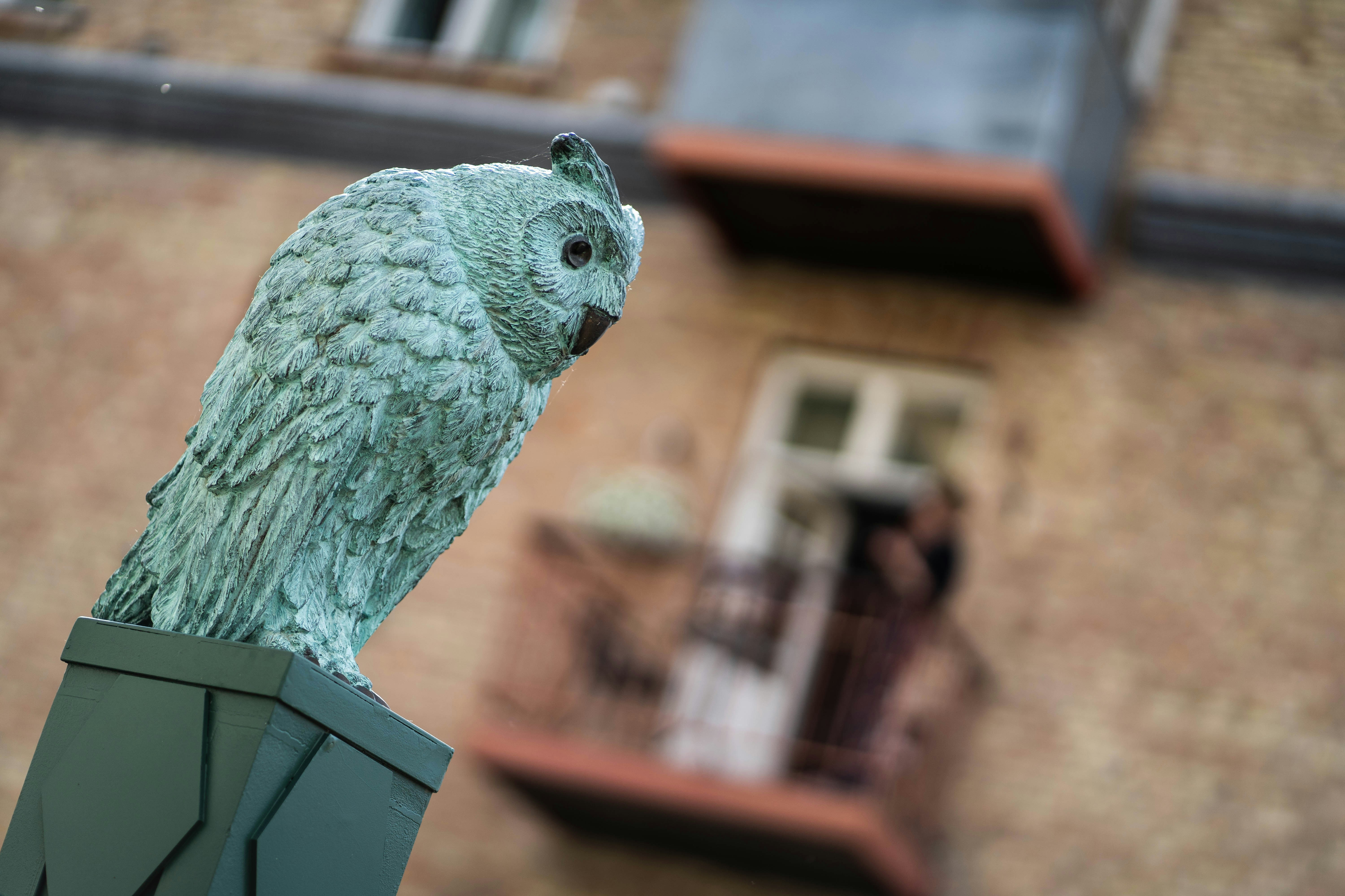 Emerald Duke: A turquoise parrot statue against a brick backdrop