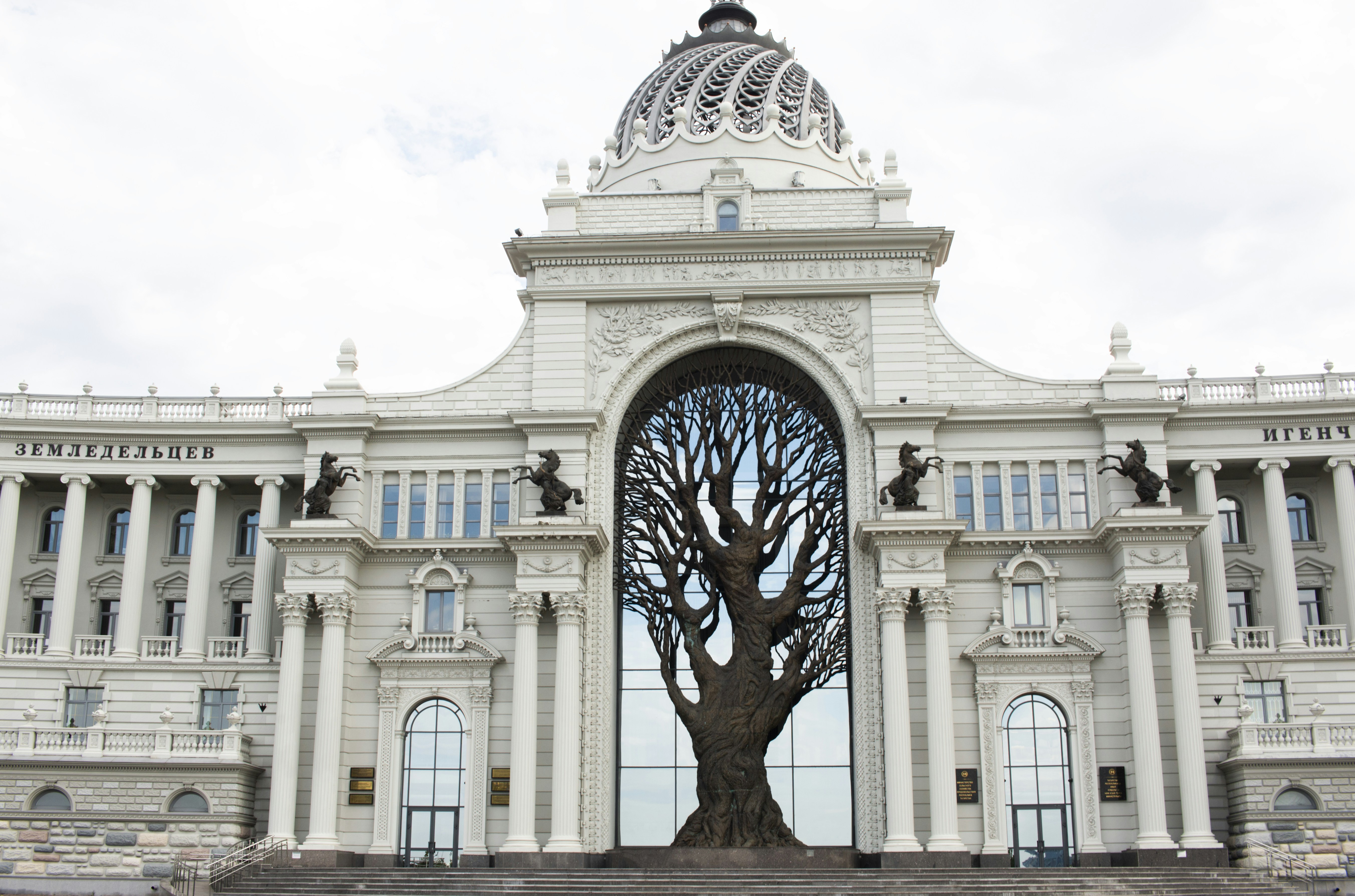 Gateways of Memory: Tree Embraced by a Monumental Arch