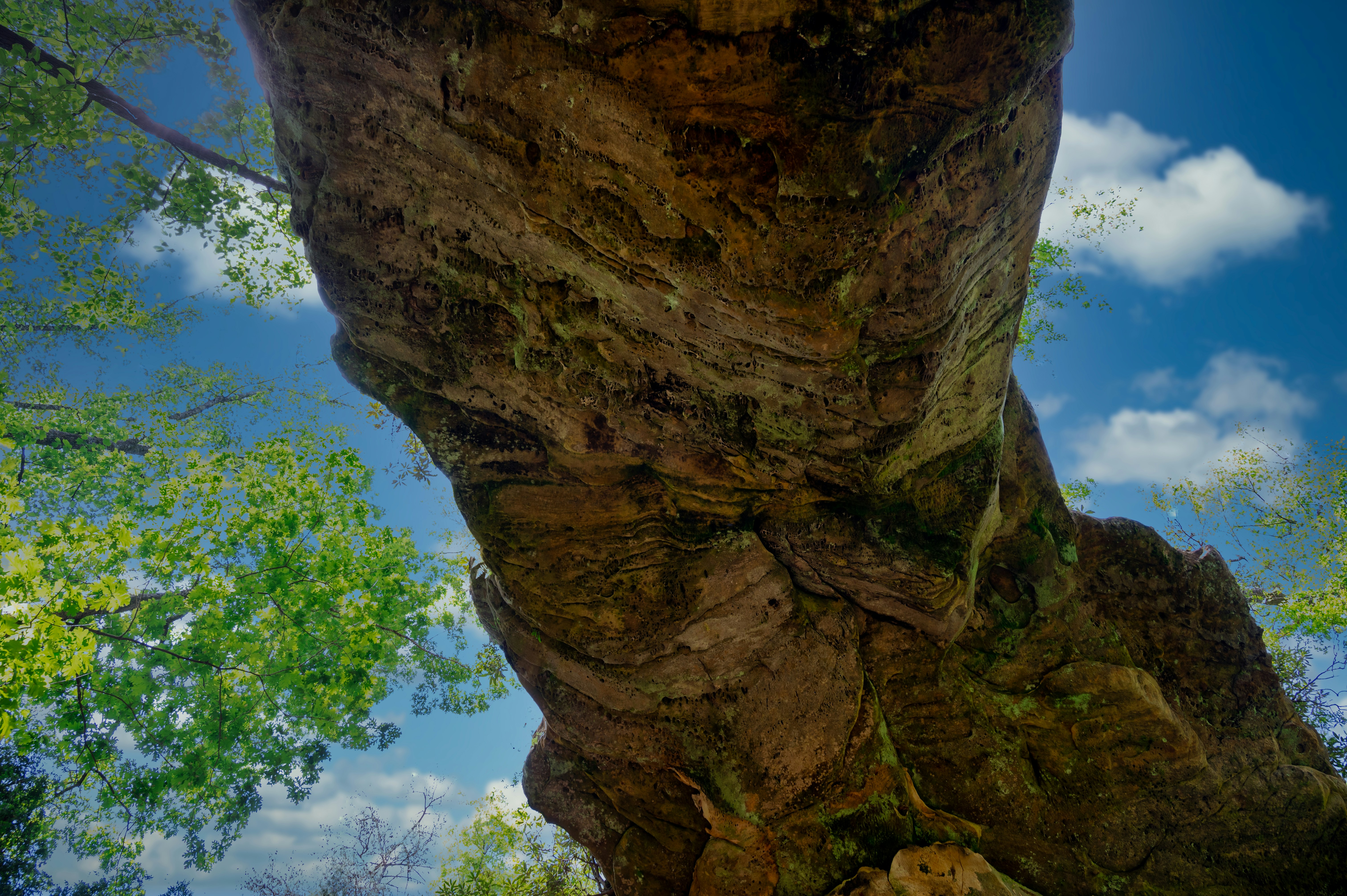 William Phipps (@billsworld) | Komunitas Foto Unsplash