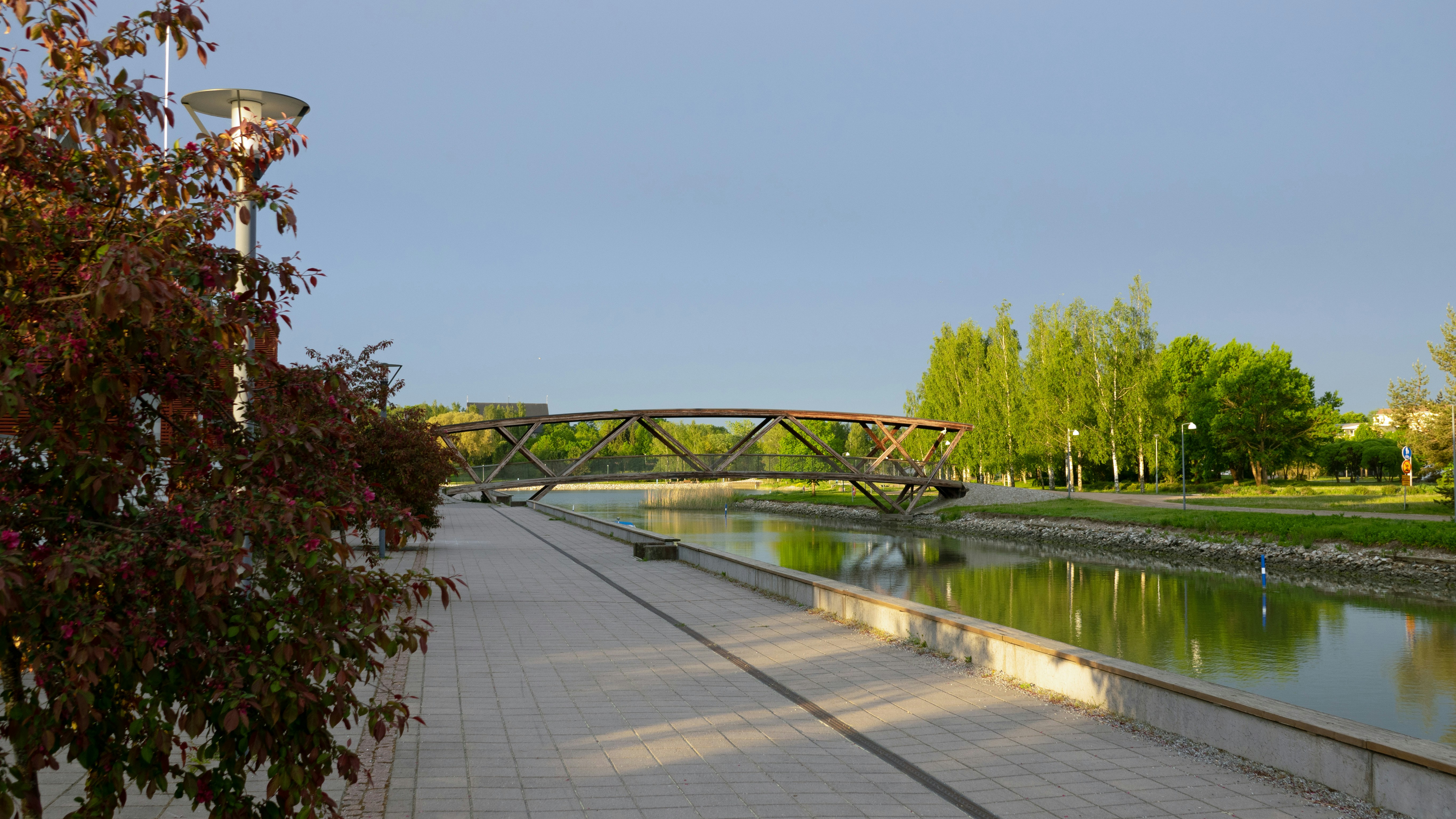 A peaceful riverside pathway lined with blooming trees, featuring a modern bridge reflecting in the calm water. The scene conveys a sense of tranquility.