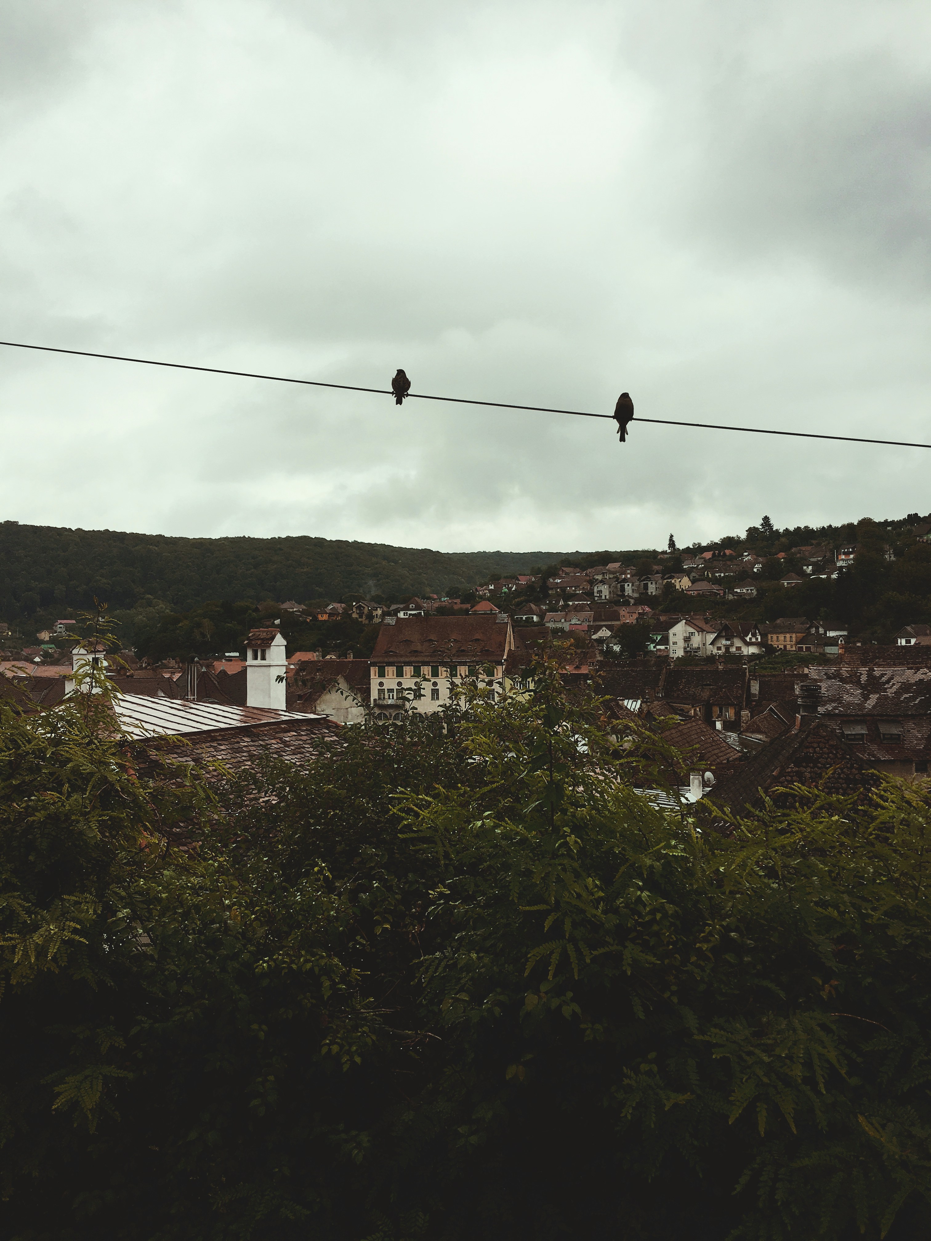 Birds on a Wire Over a Terracotta Town Under a Moody Sky