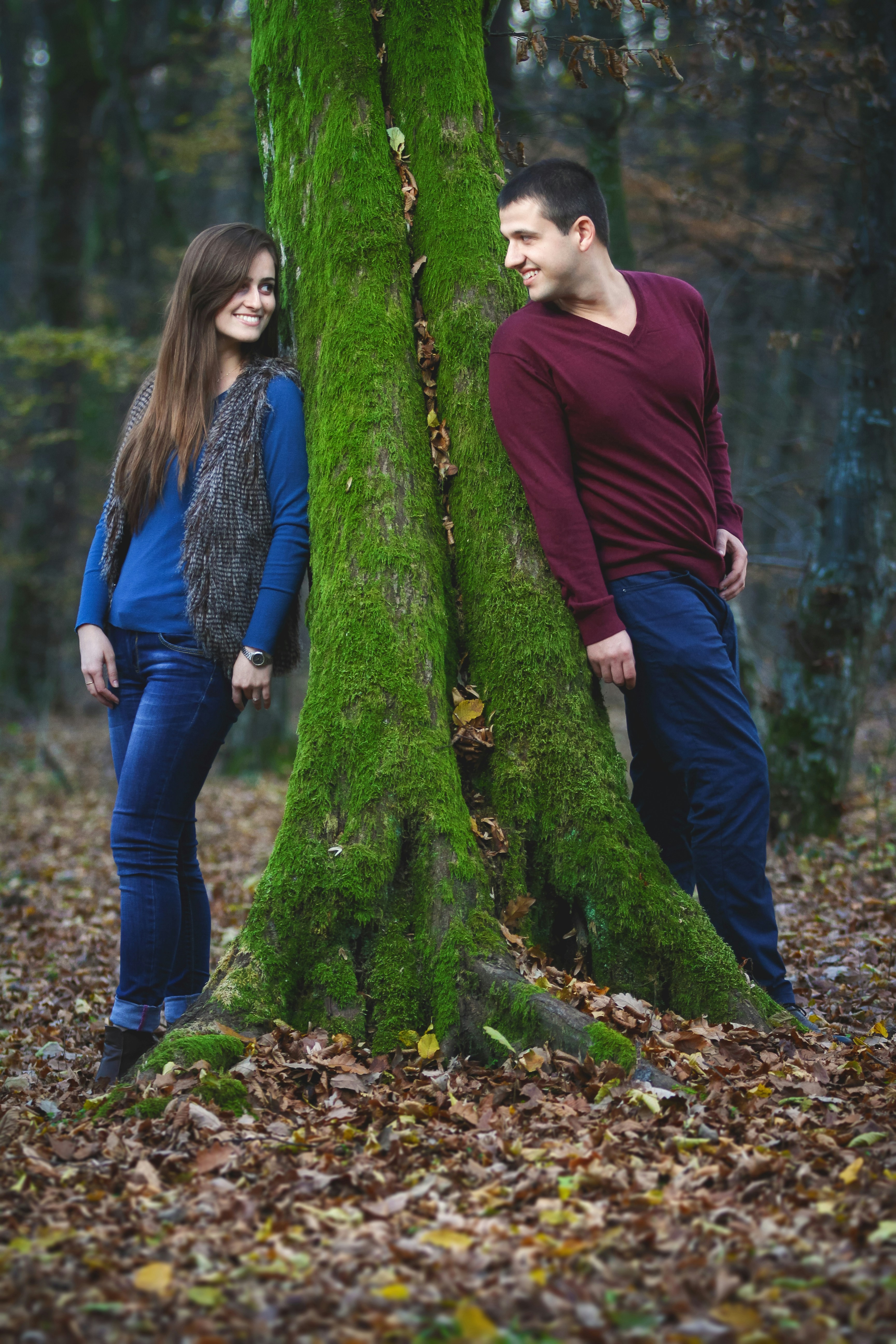 Moss-Kissed Silence: Portrait by a Forest Trunk