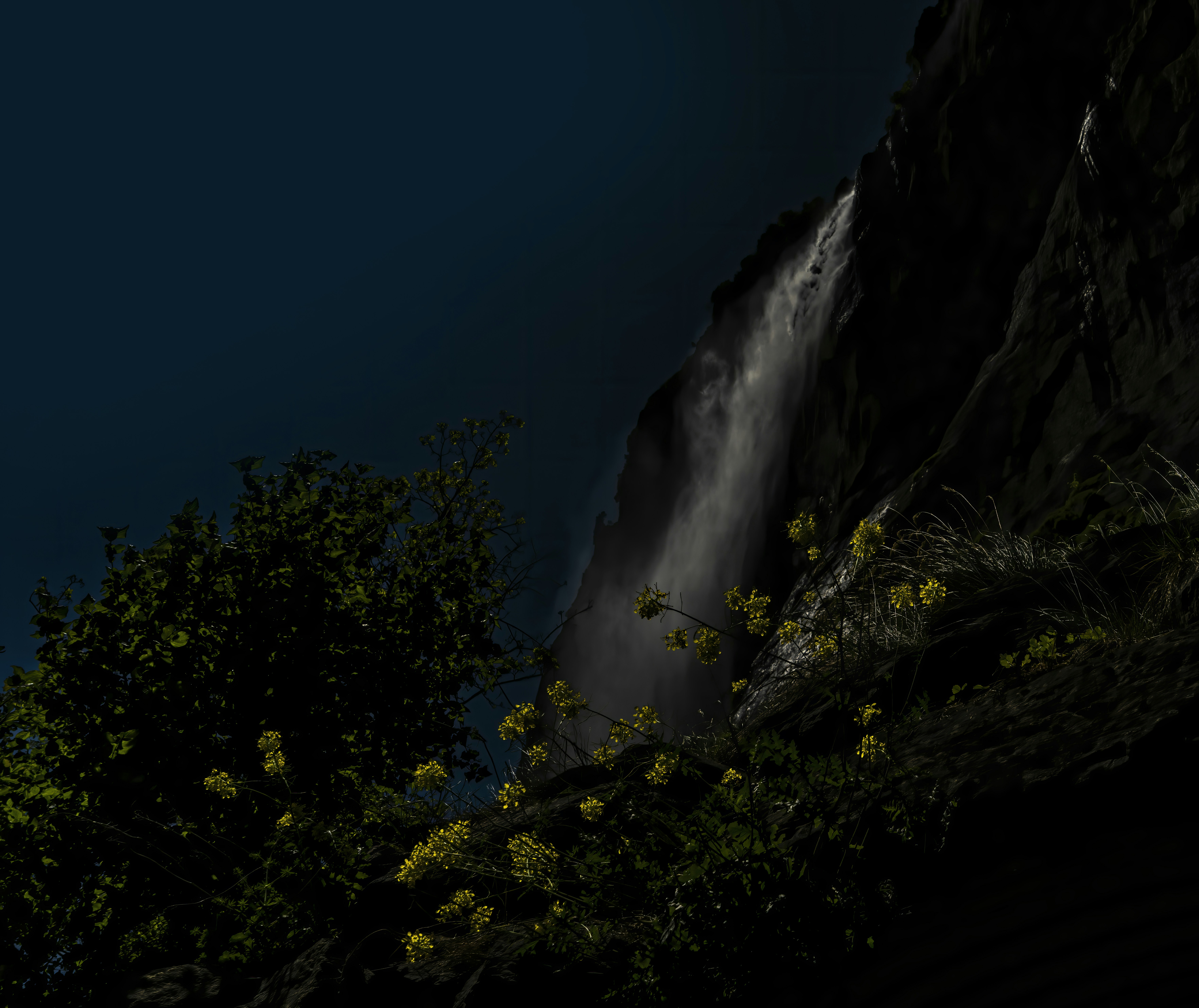 Moonlit Cascade Above a Shadowed Cliff with Spring Blooms