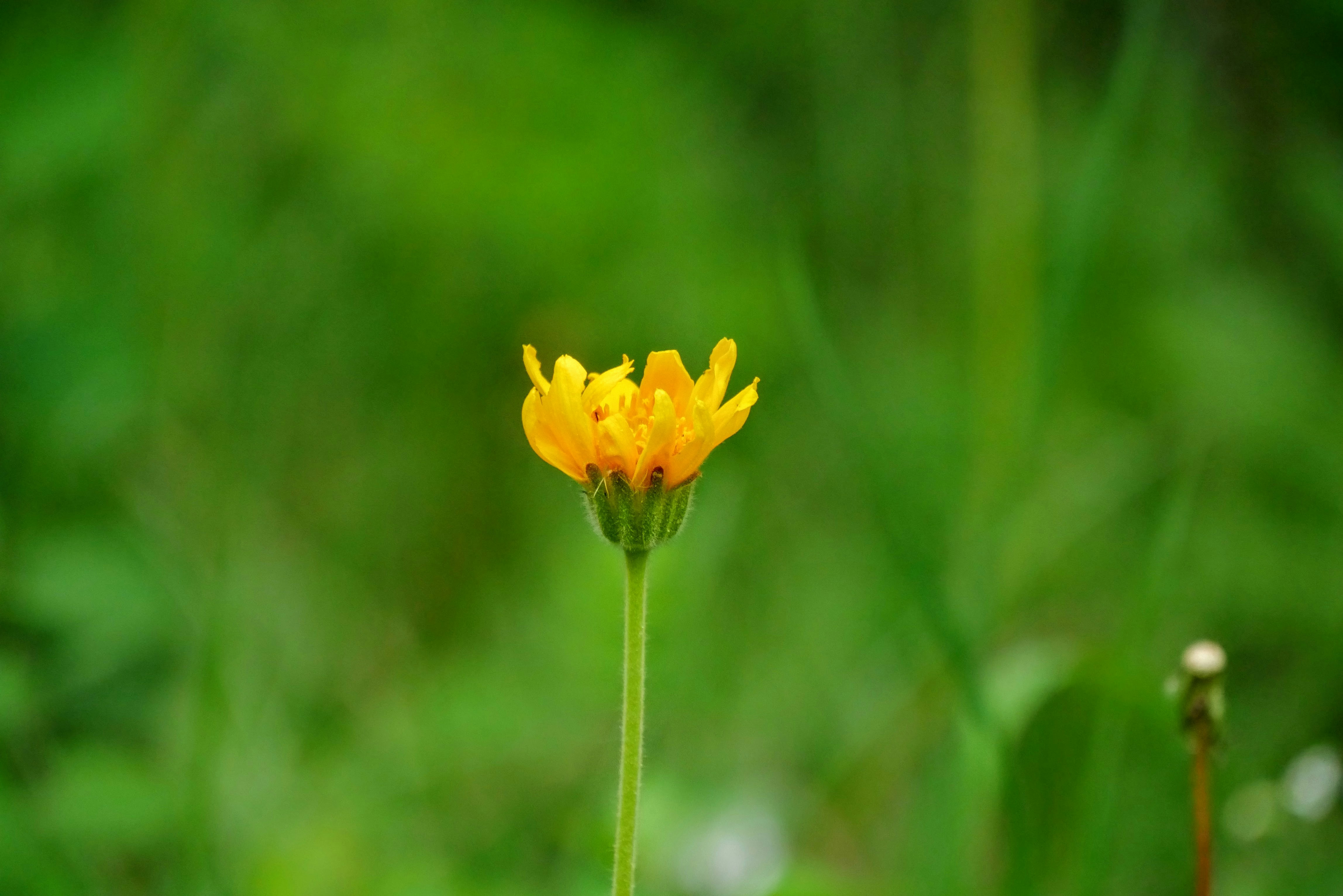 Malachi Brooks (@mebrooks01) | Unsplash Photo Community