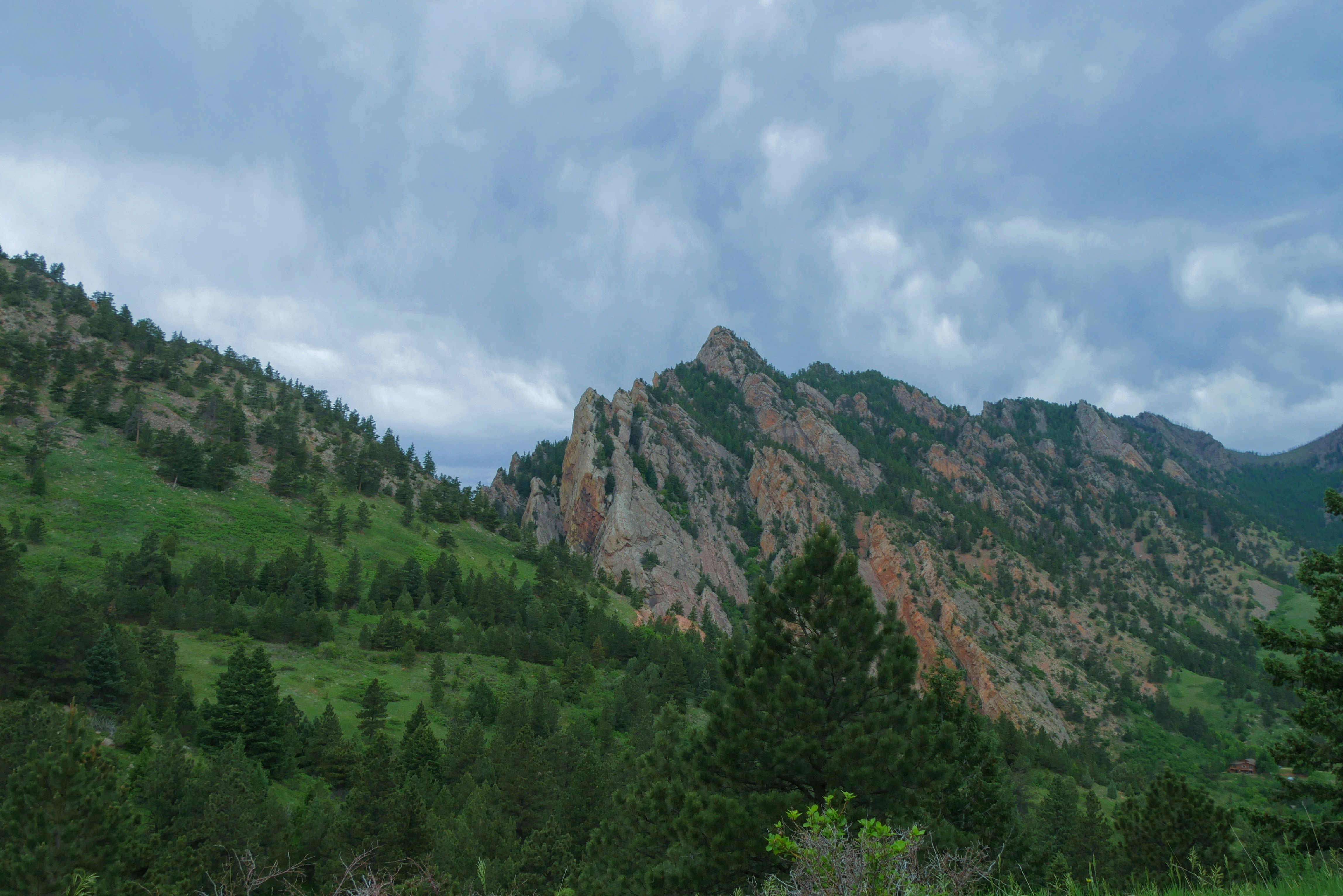 green trees on mountain under cloudy sky during daytime