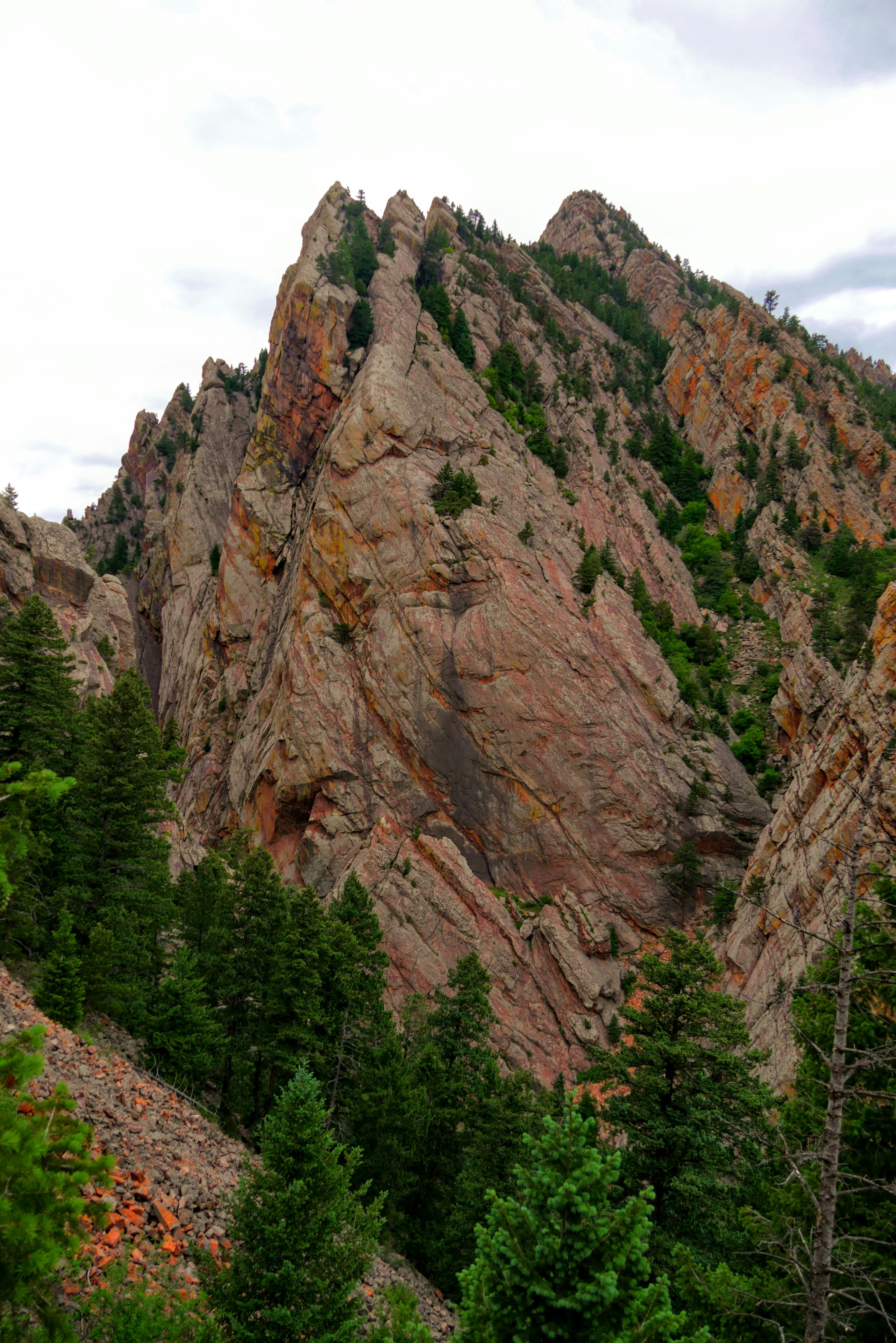 Malachi Brooks (@mebrooks01) | Unsplash Photo Community