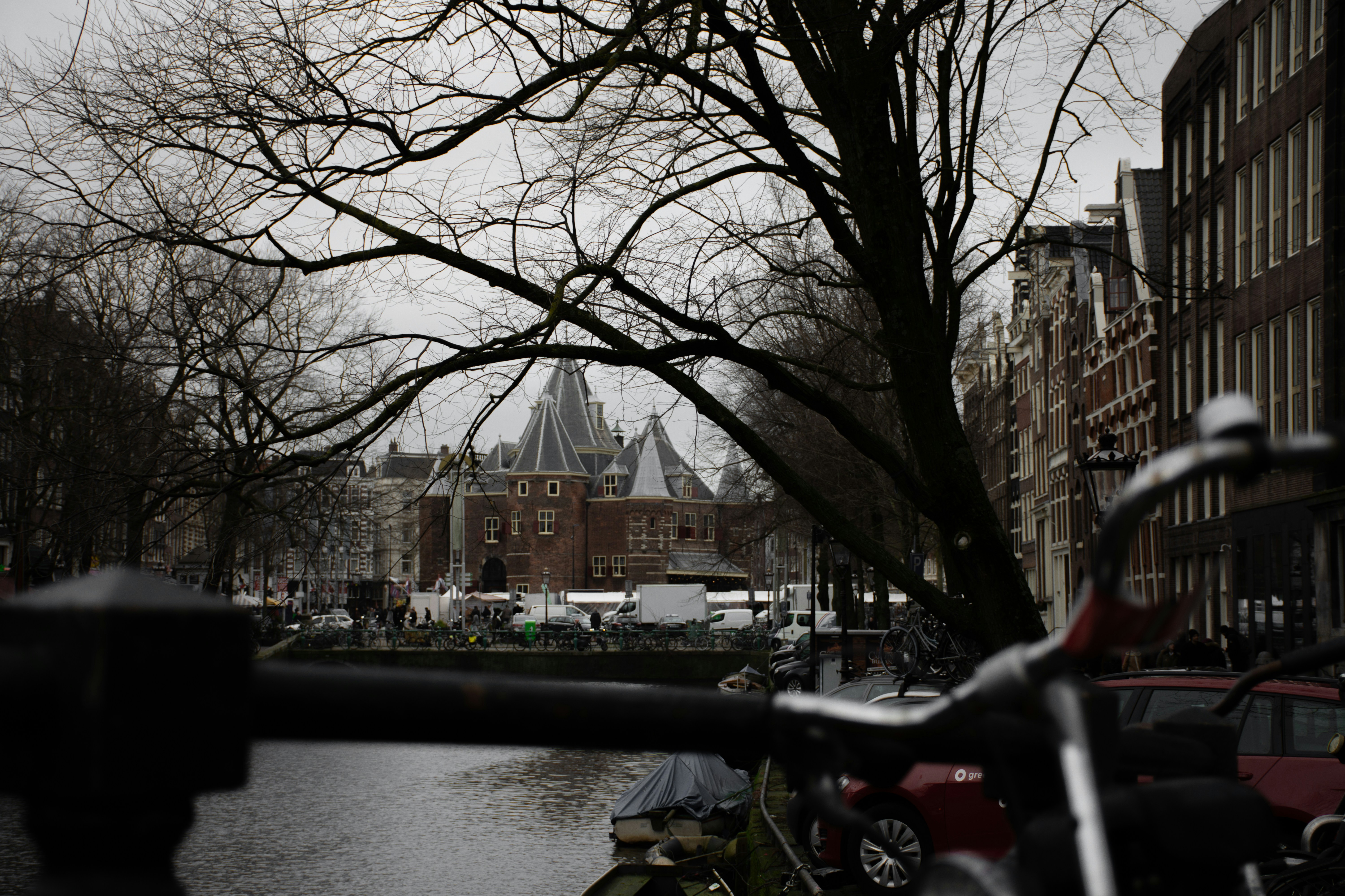 Spired Skyline Framed by Bare Branches Over a Quiet Canal