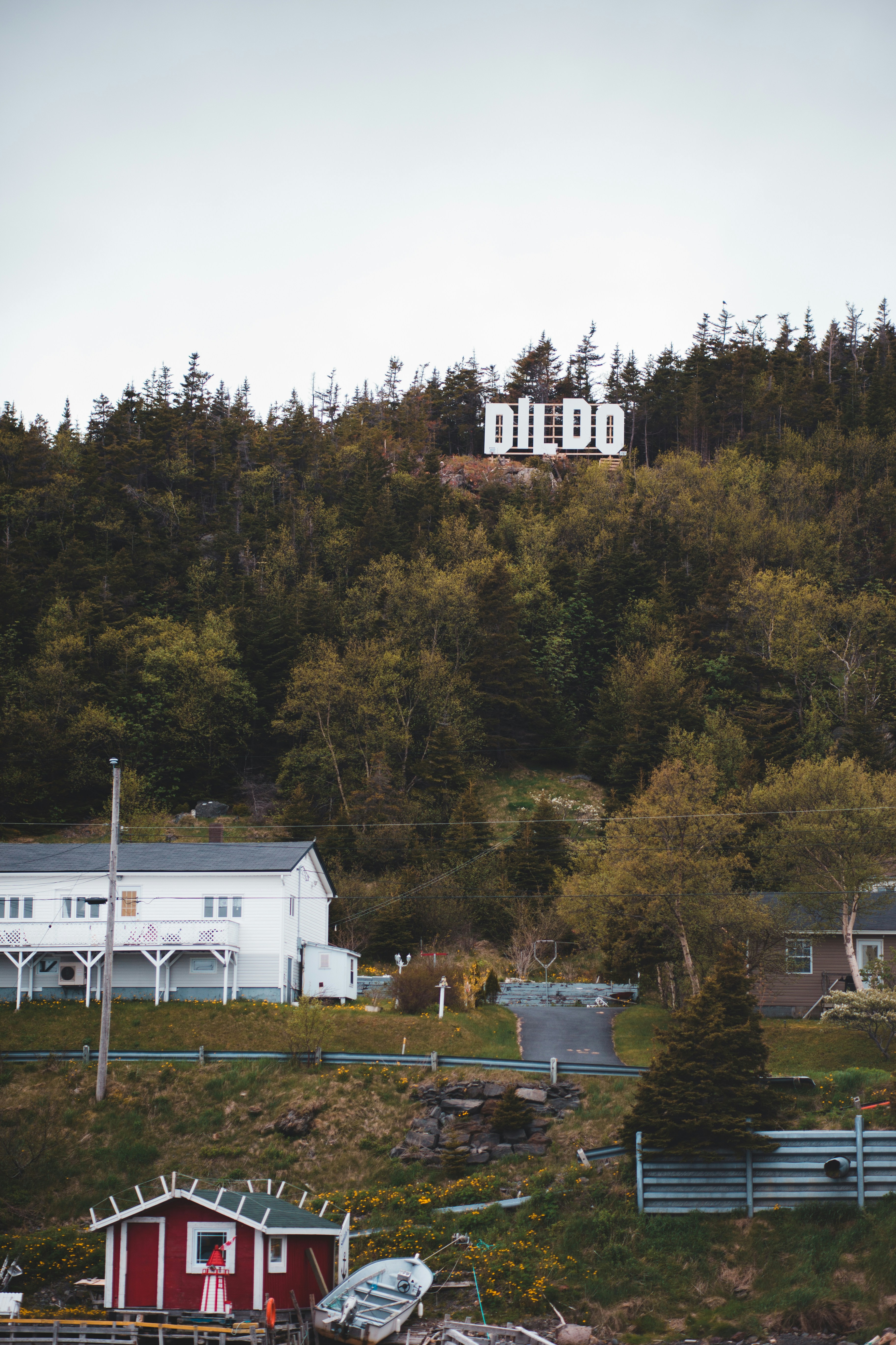 Hillbilly Pictures | Download Free Images on Unsplash