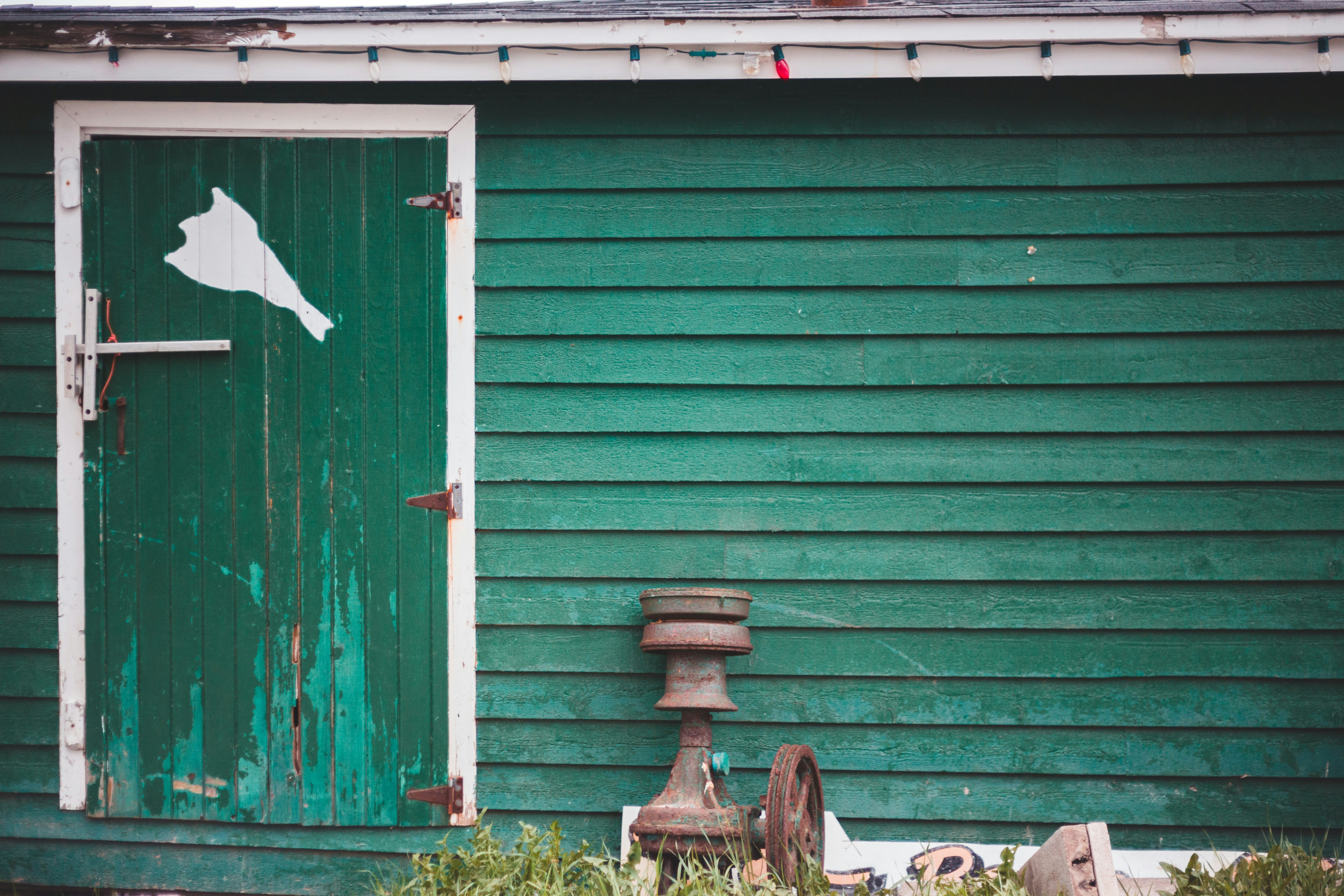 Bird Silhouette on a Weathered Green Door Among Rusted Relics