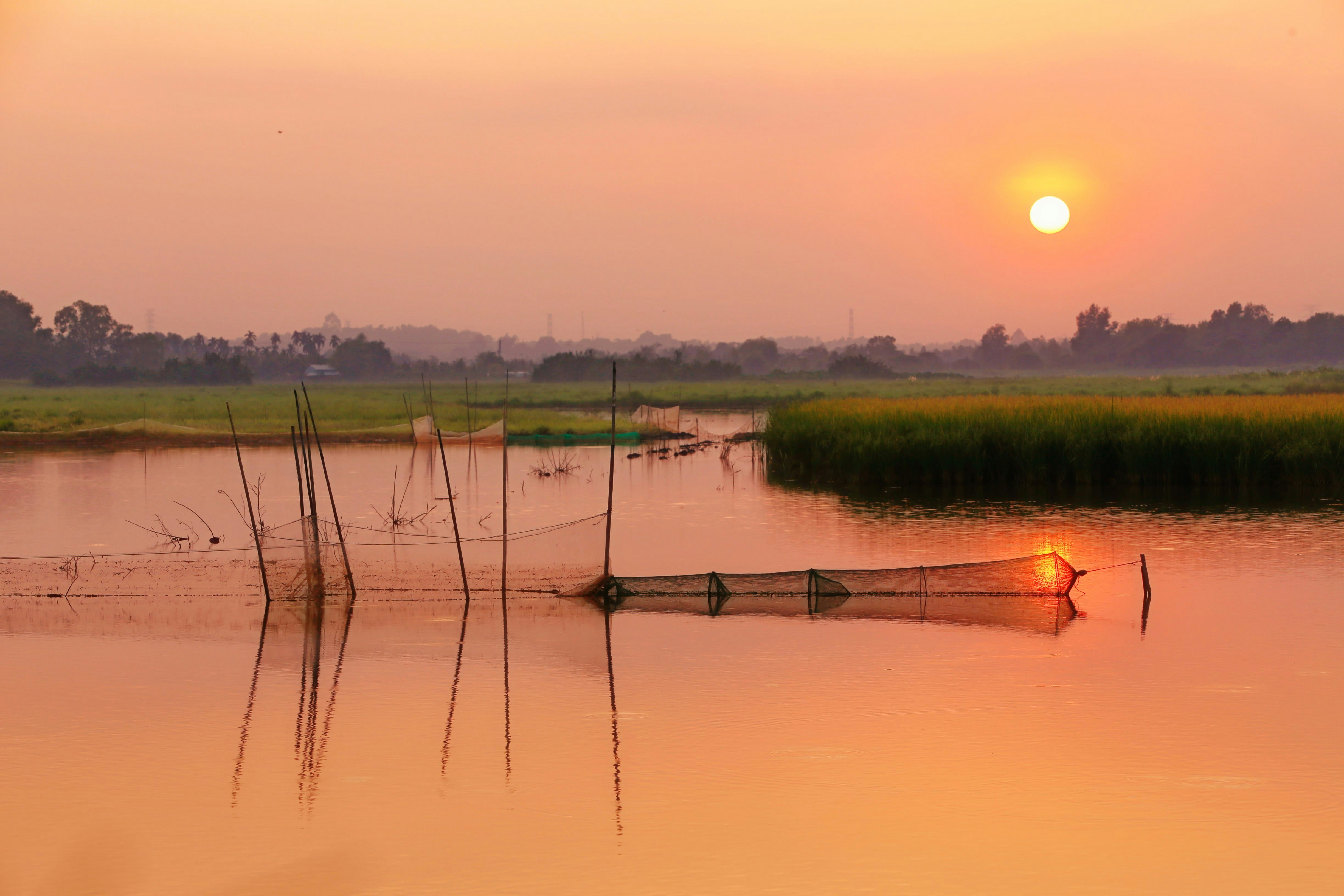 Cor Dulce (@cor_dulce) | Komunitas Foto Unsplash