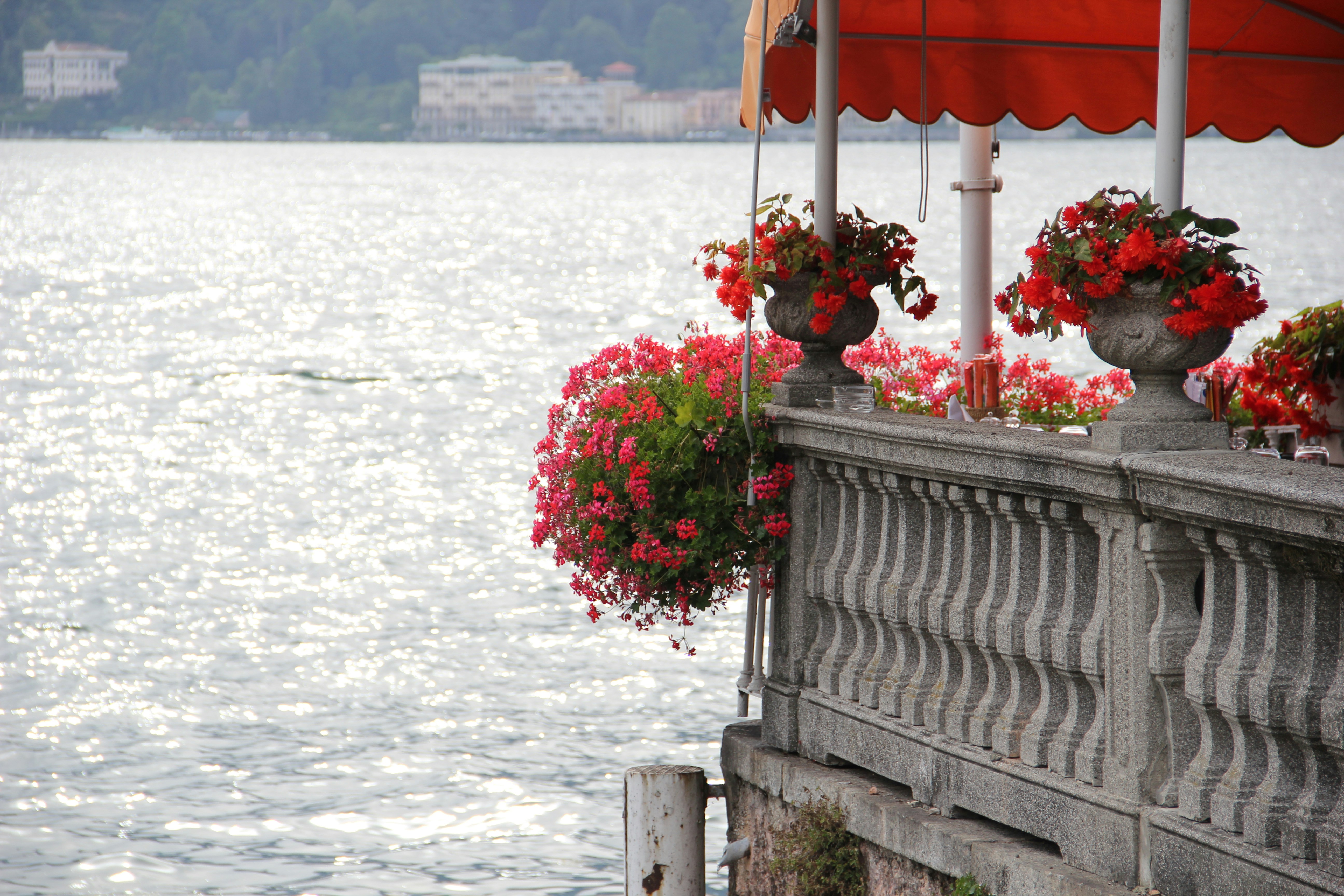 Vibrant flower pots adorn a stone railing overlooking shimmering water, creating a tranquil scene by the lakeside.