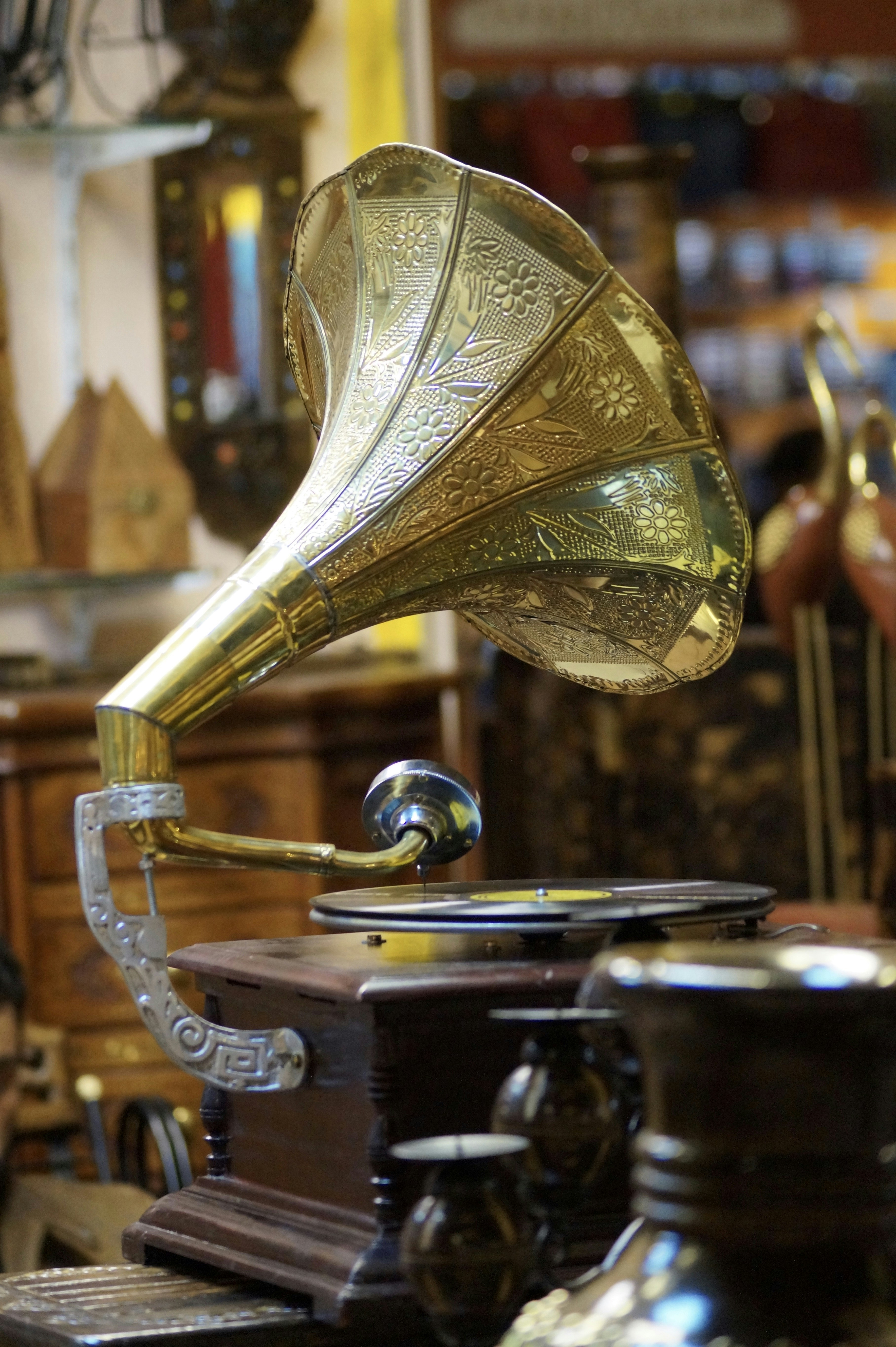 The Brass Bloom: An Ornate Gramophone Horn in a Curio Shop