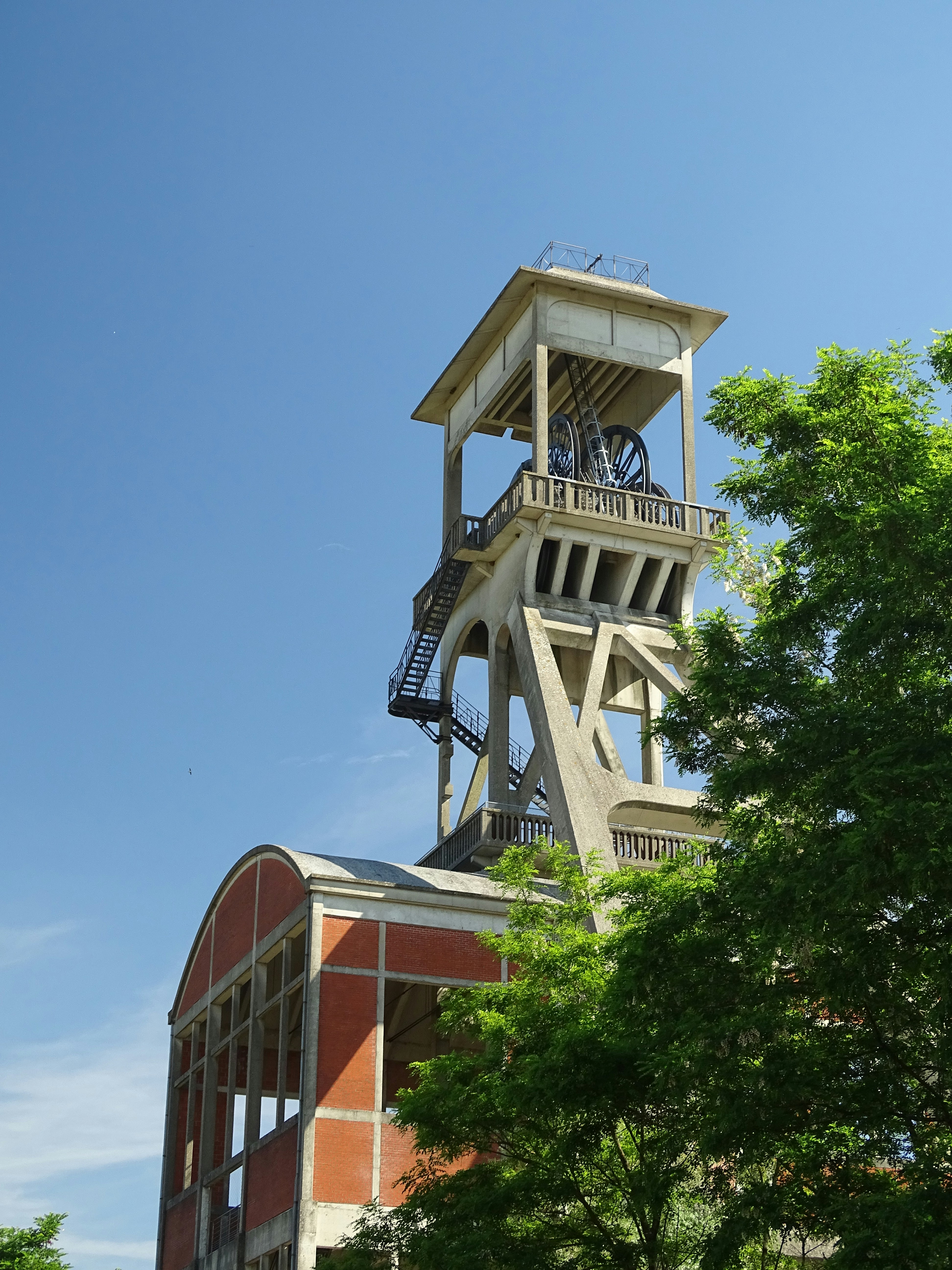 Mineshafting buck at Terhills in Maasmechelen