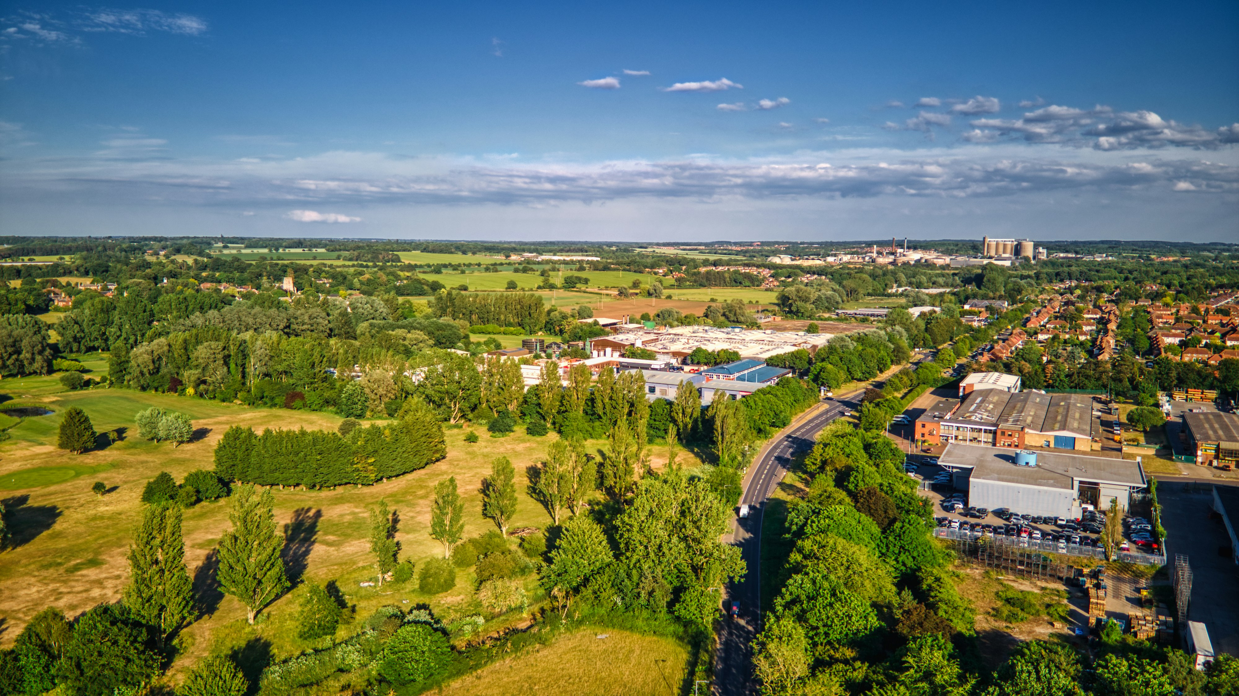 Aerial Symphony of Suburban Greenery