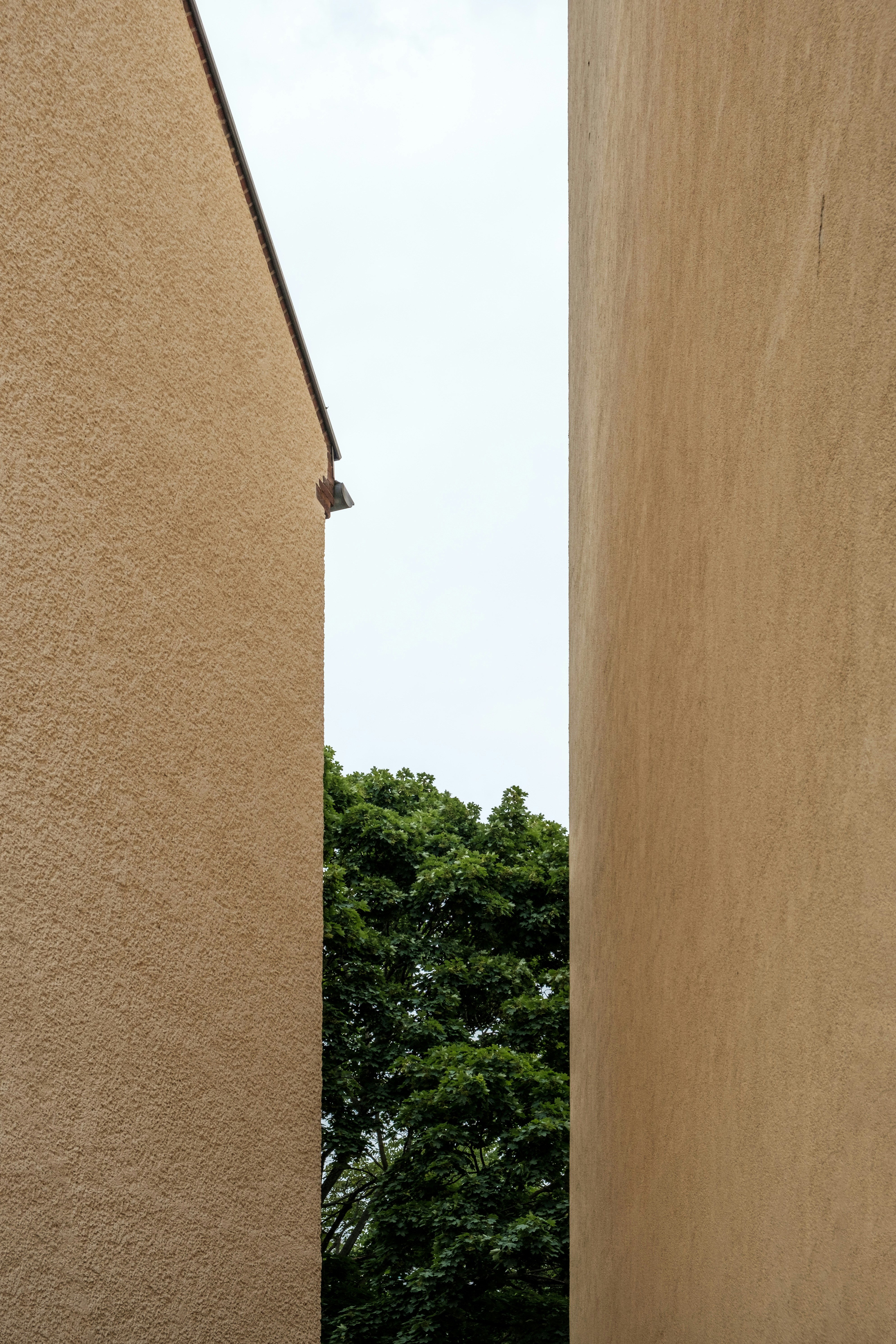 Framed Gap: a narrow slice of sky and greenery between sunlit walls