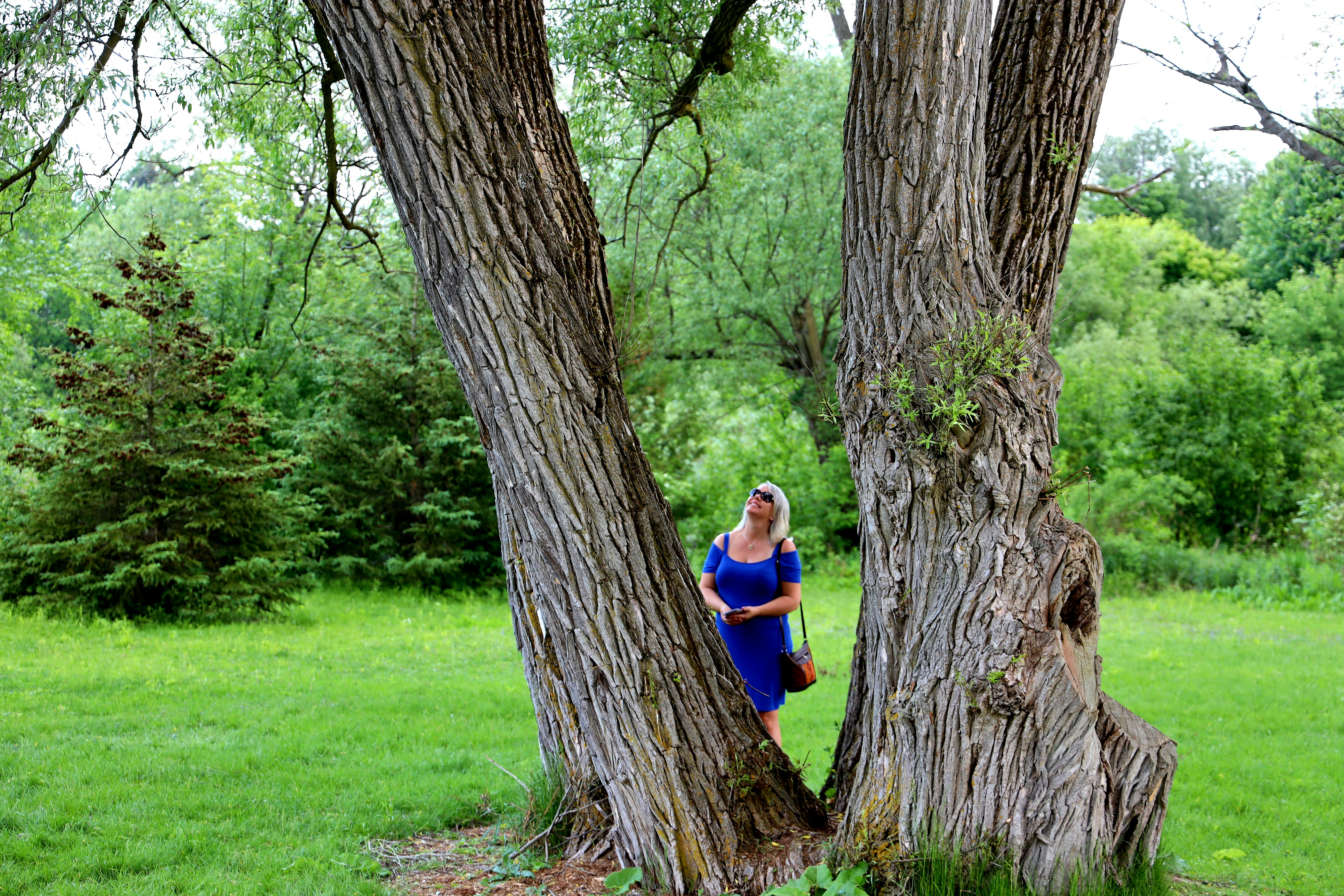A lady in blue under a tree 