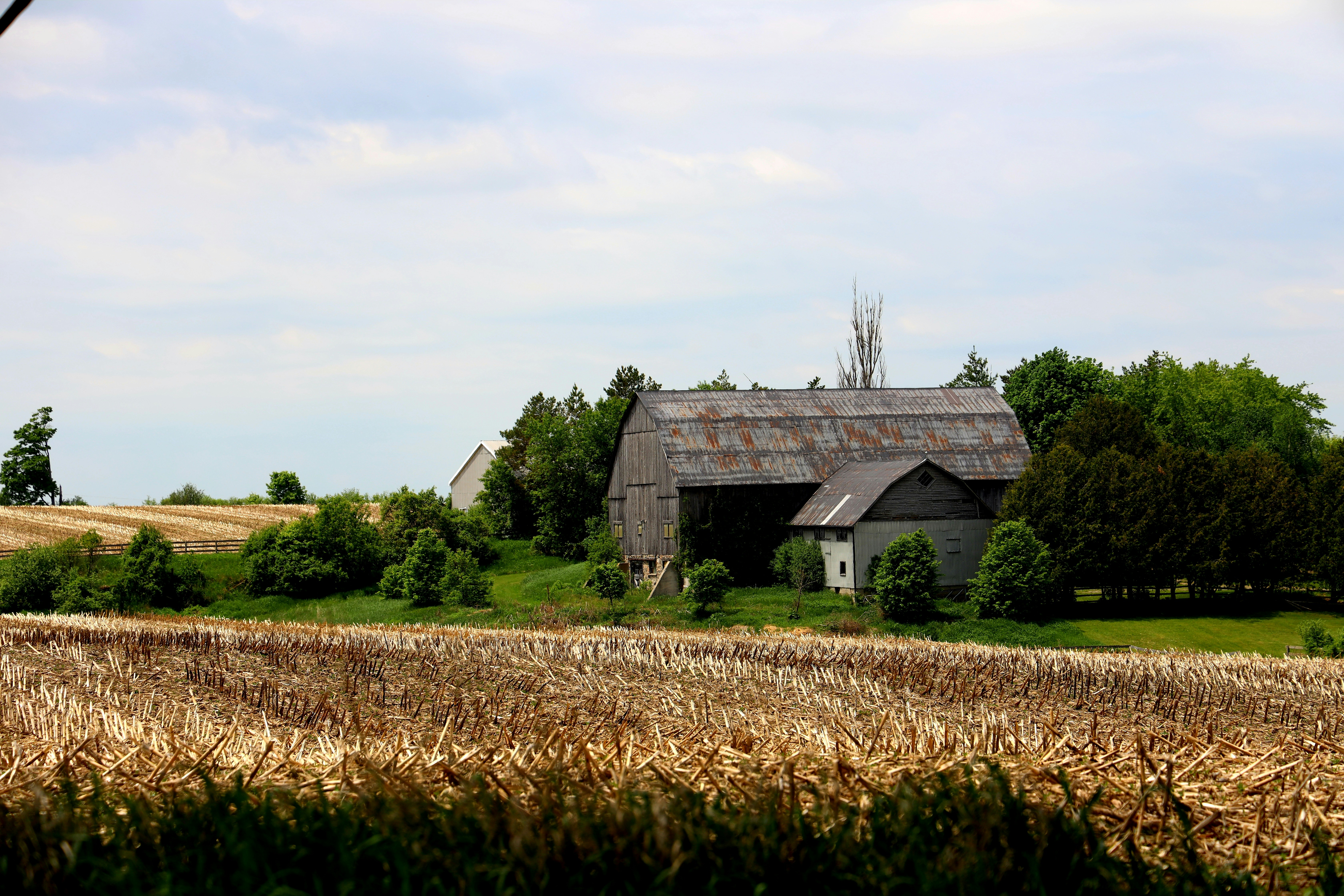 A barn sitting in a field  | brown wooden house on green grass field under white sky during daytime