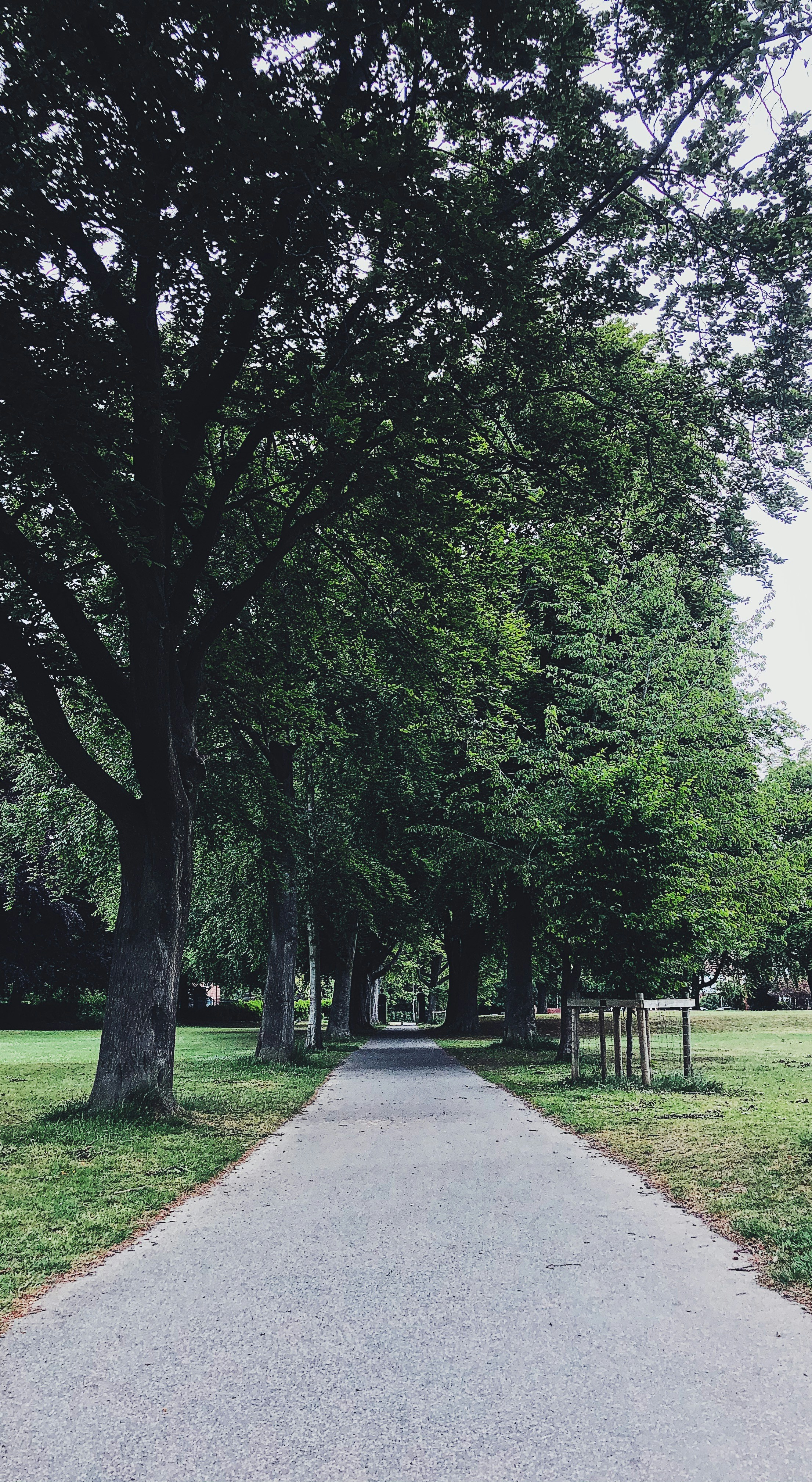 Mitch Fox (@mitchellf0x) | Unsplashフォトコミュニティ