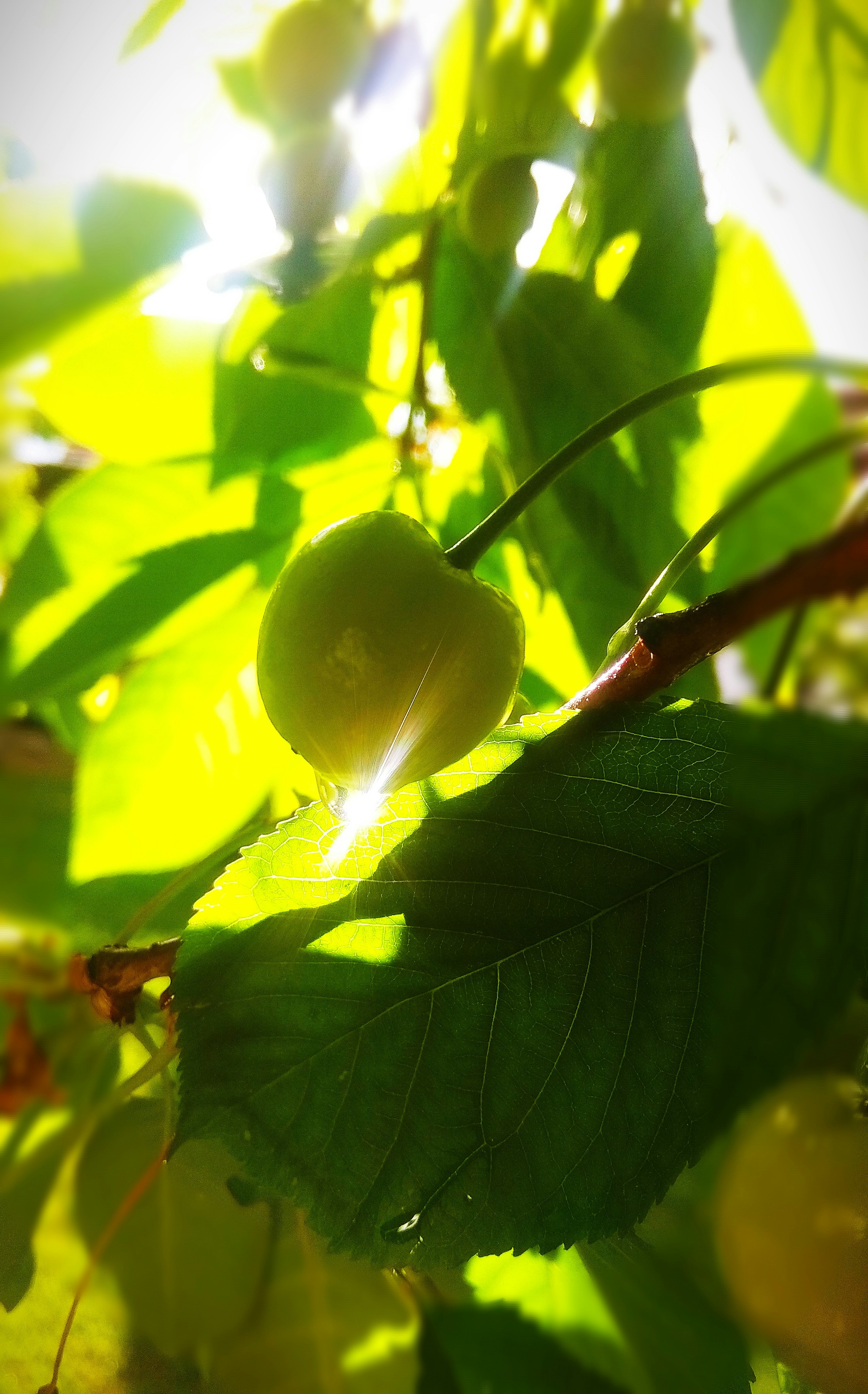 flickr (@flickr) | Komunitas Foto Unsplash