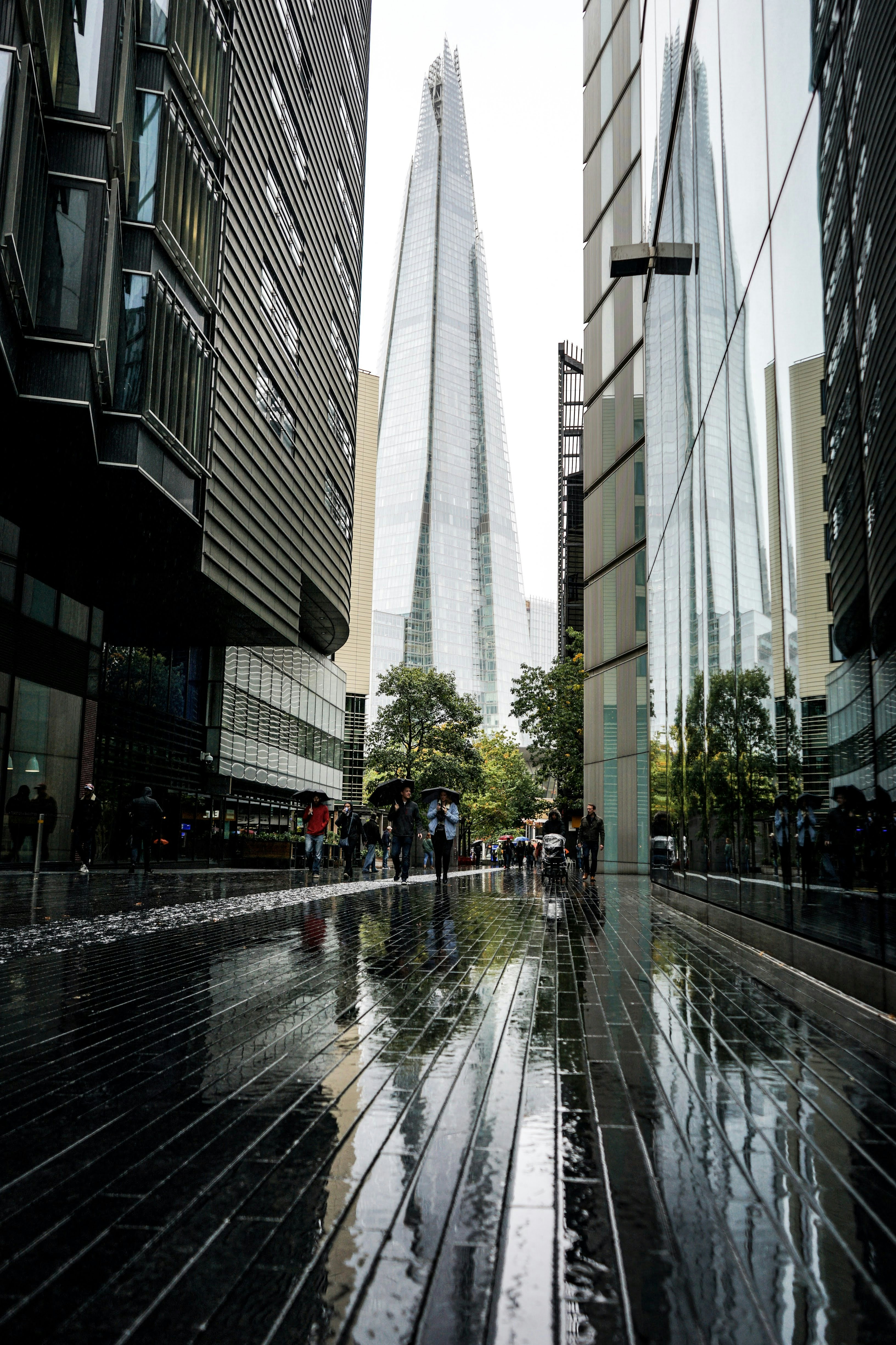 Between Glass Giants: Rain-Slick Path to The Shard