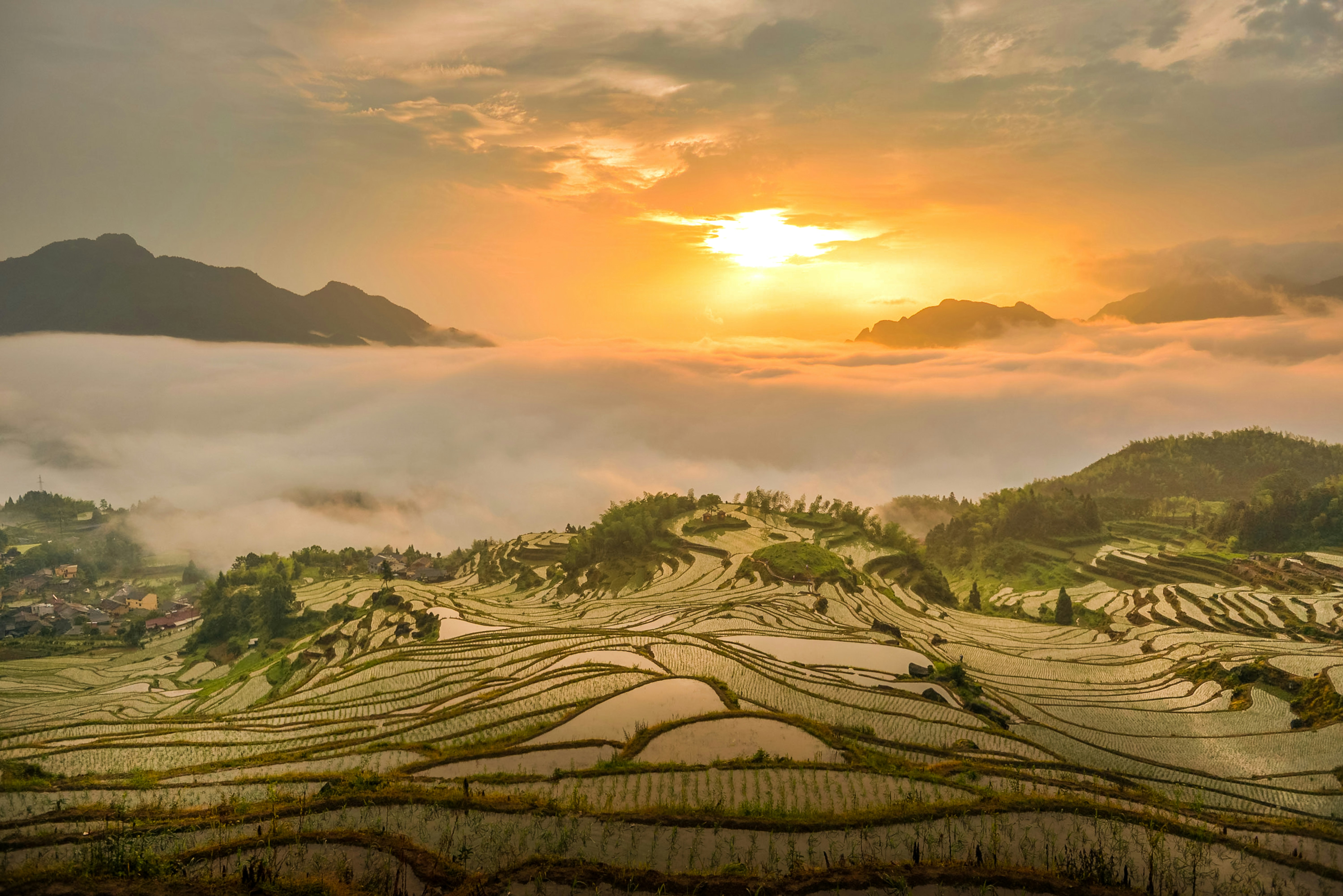 Terraces View Sunset in the Mountains | green grass field during sunset