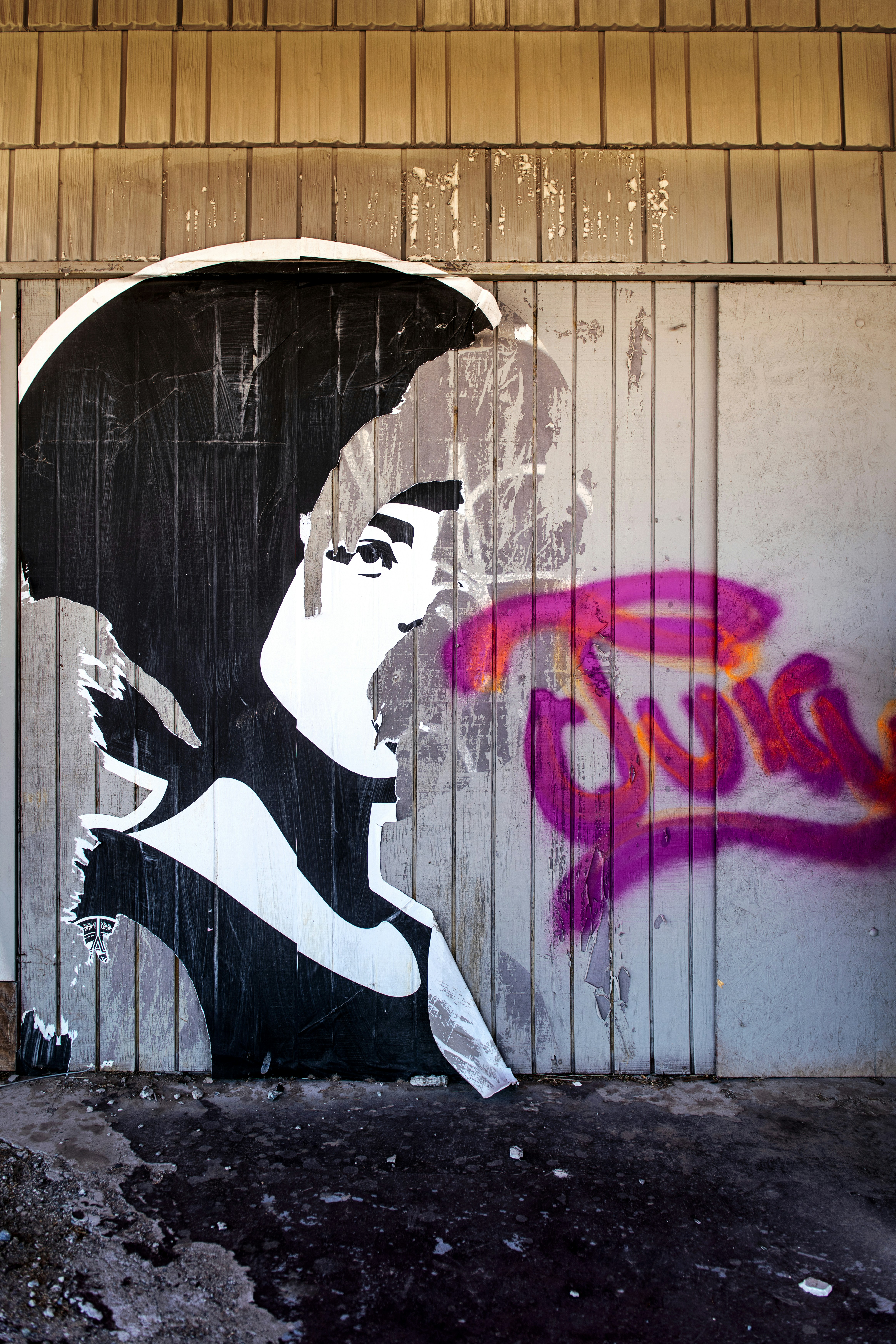 Shattered Portrait: A Stark Graffiti Silhouette on Weathered Panels