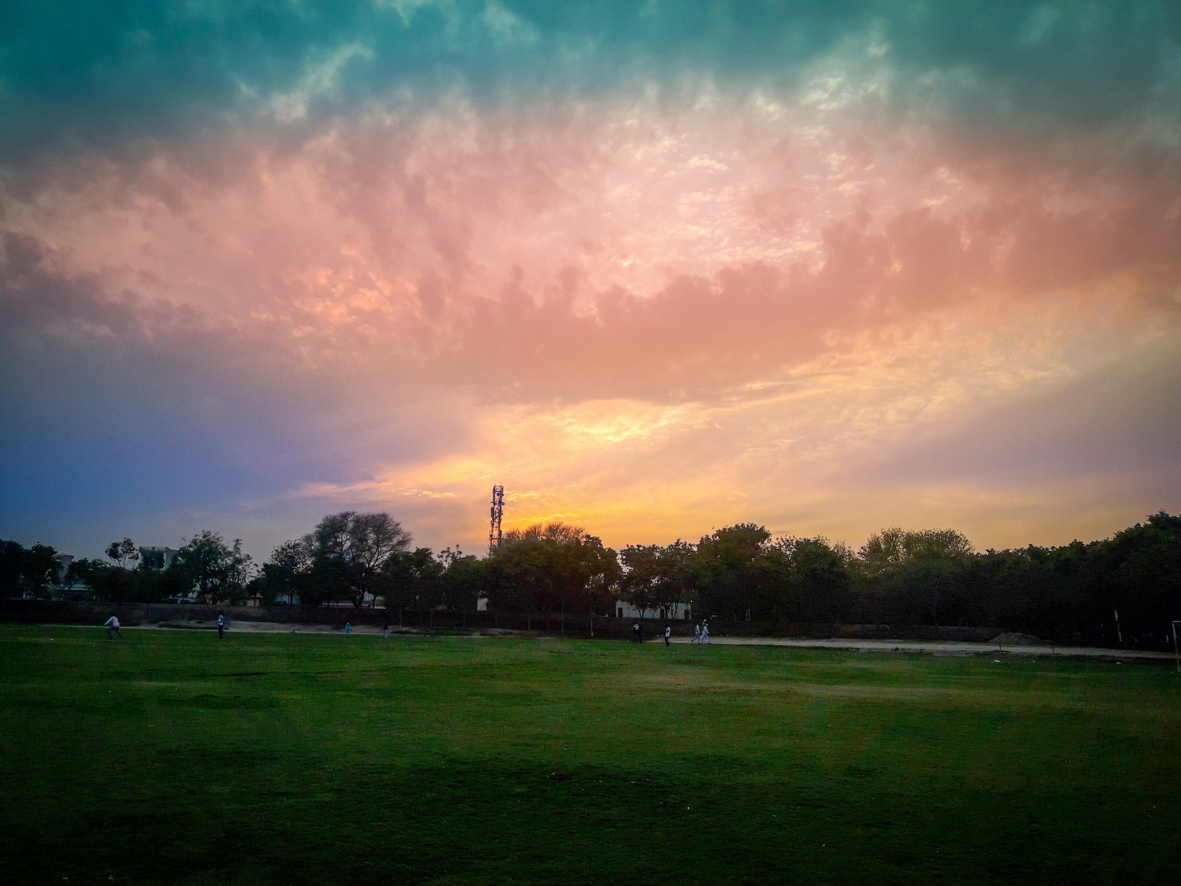 Park at sunset with a lush green field, dark silhouettes of trees along the horizon, and a pastel gradient sky.