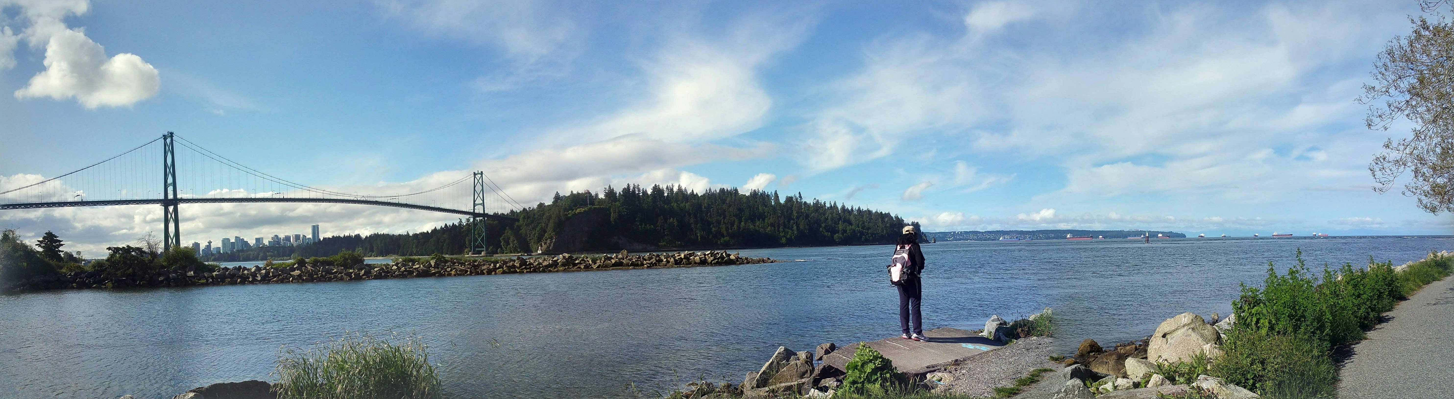 A person stands on a rocky shore, gazing at a bridge connecting lush greenery to a distant urban skyline under a vibrant sky.