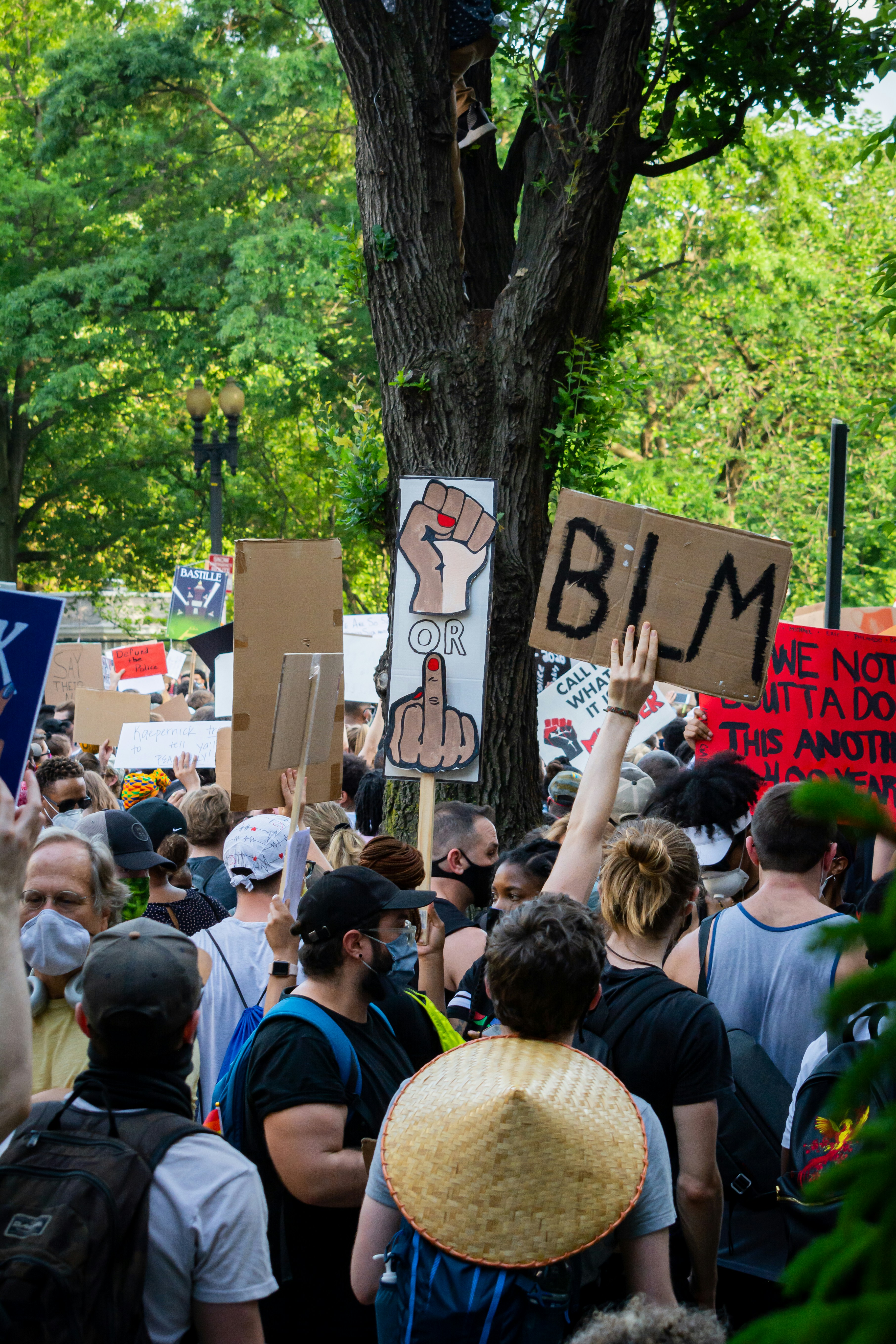 Crowd of protesters holding signs advocating for Black Lives Matter and social justice during a rally.