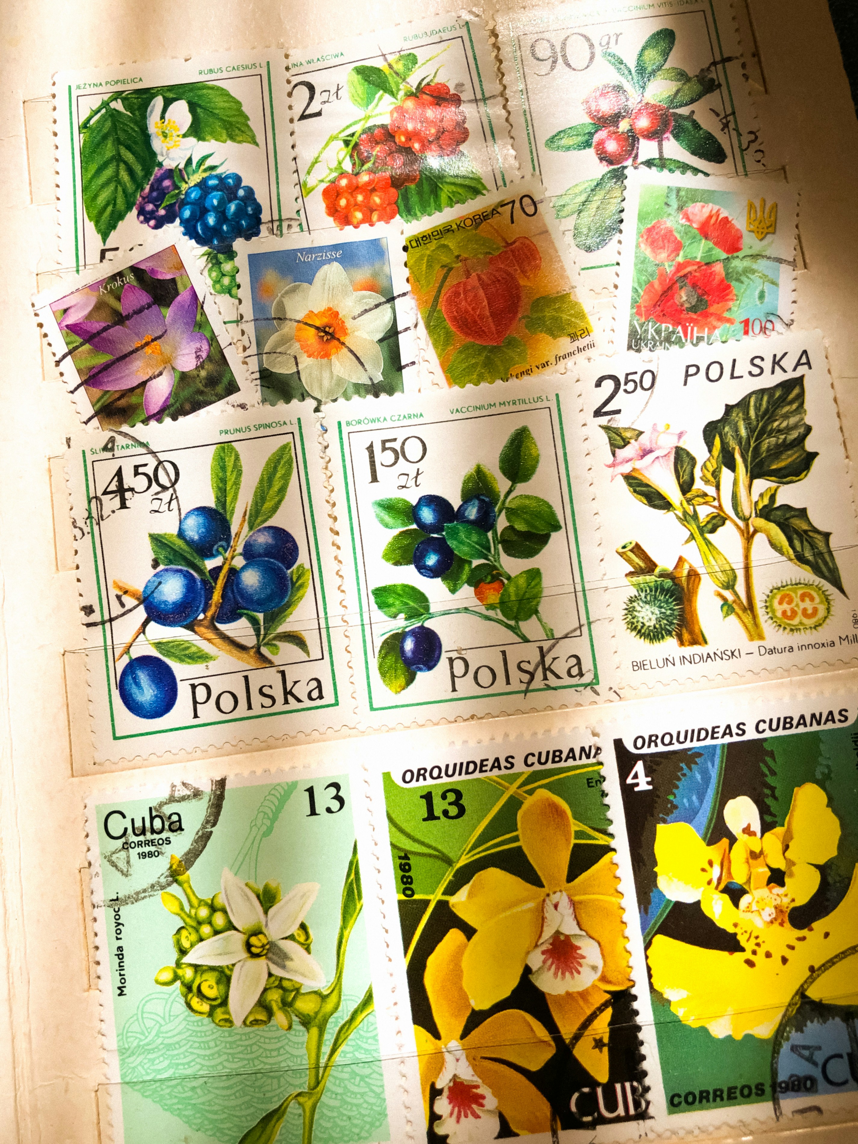 Botanical Stamp Mosaic: Polish and Cuban Flora in Colorful Postage