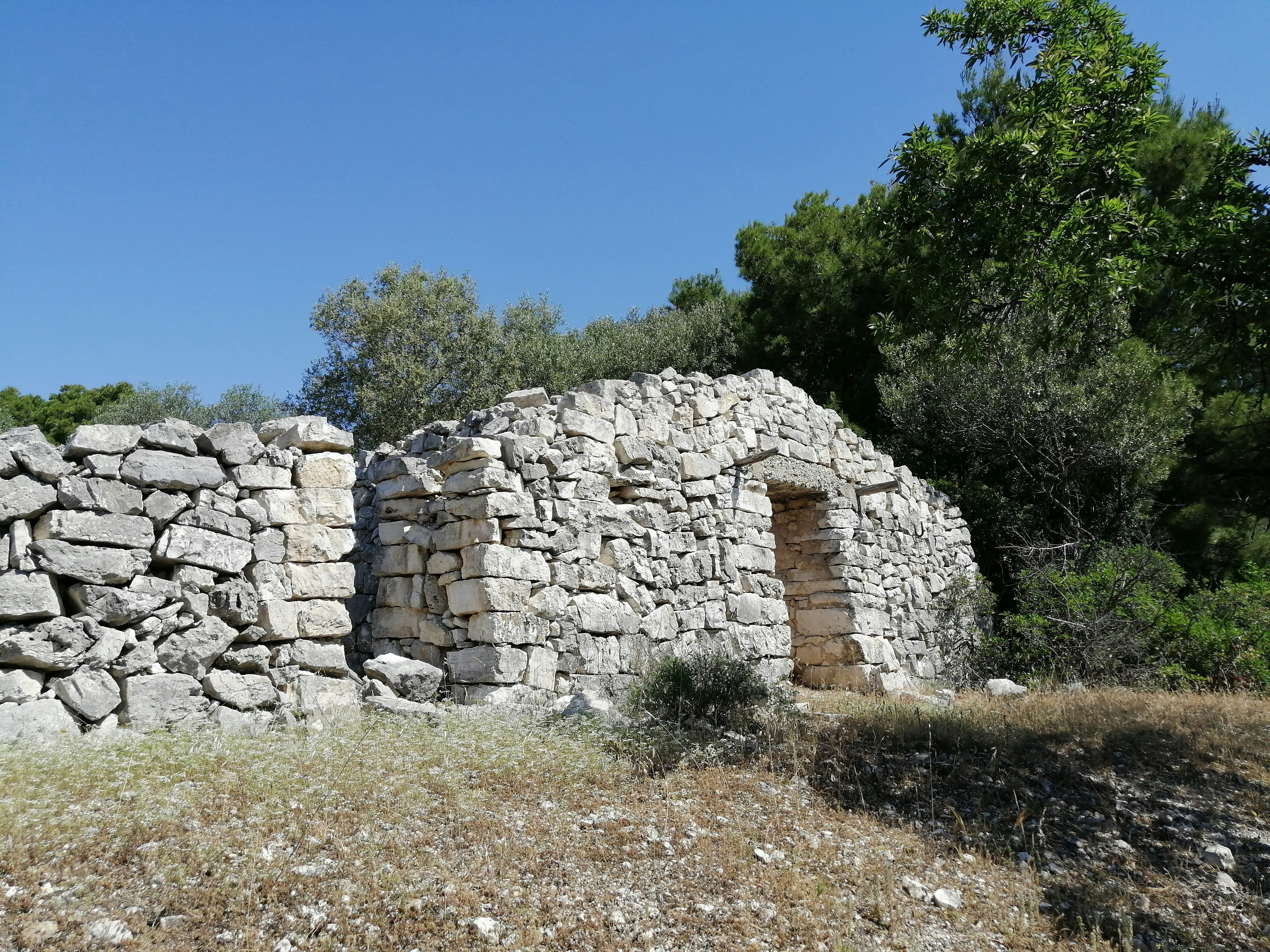 Ancient stone ruins nestled among lush greenery, showcasing weathered walls and an arched entrance. The scene captures the essence of historical architecture in a natural setting.