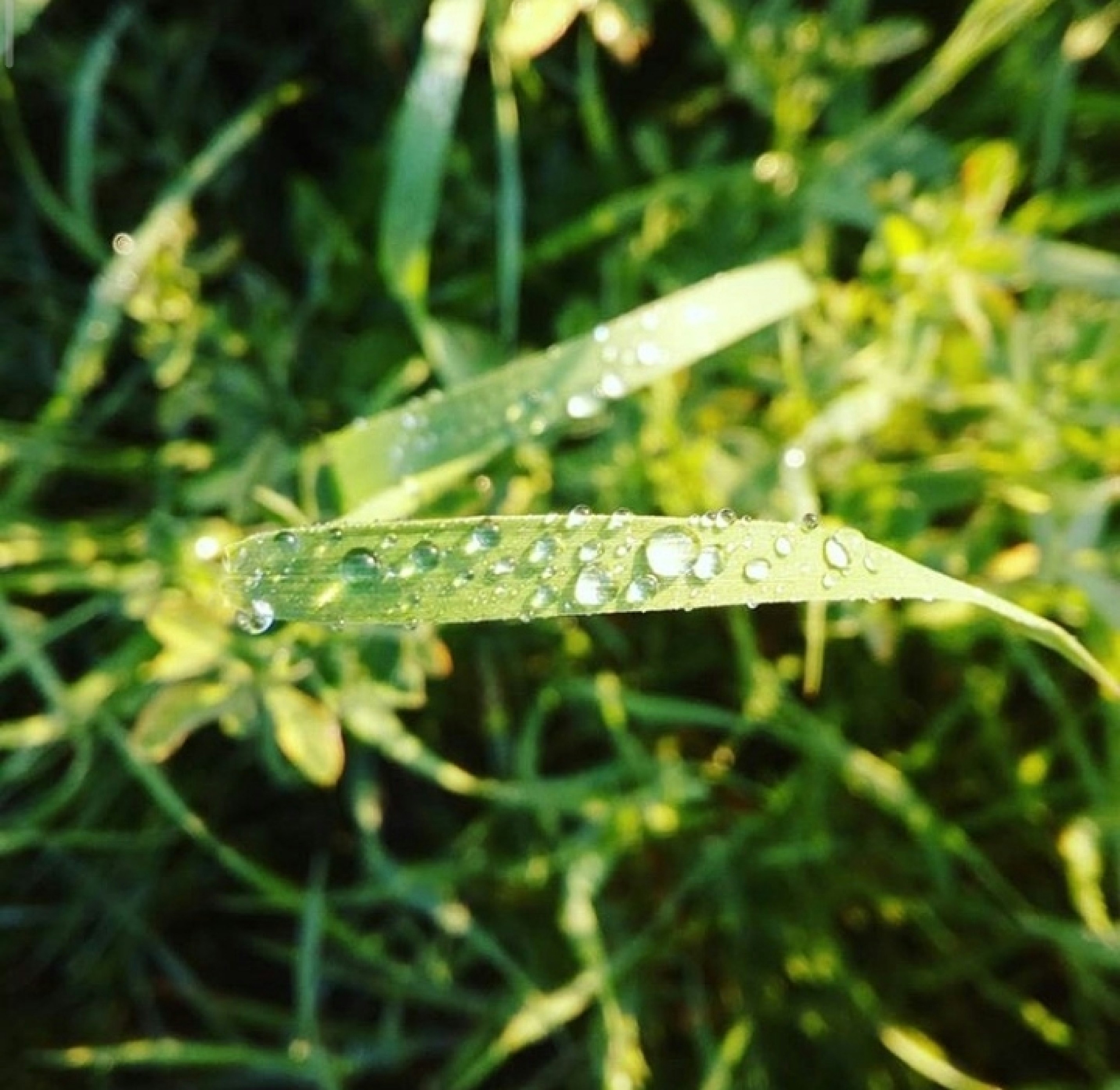 flickr (@flickr) | Komunitas Foto Unsplash