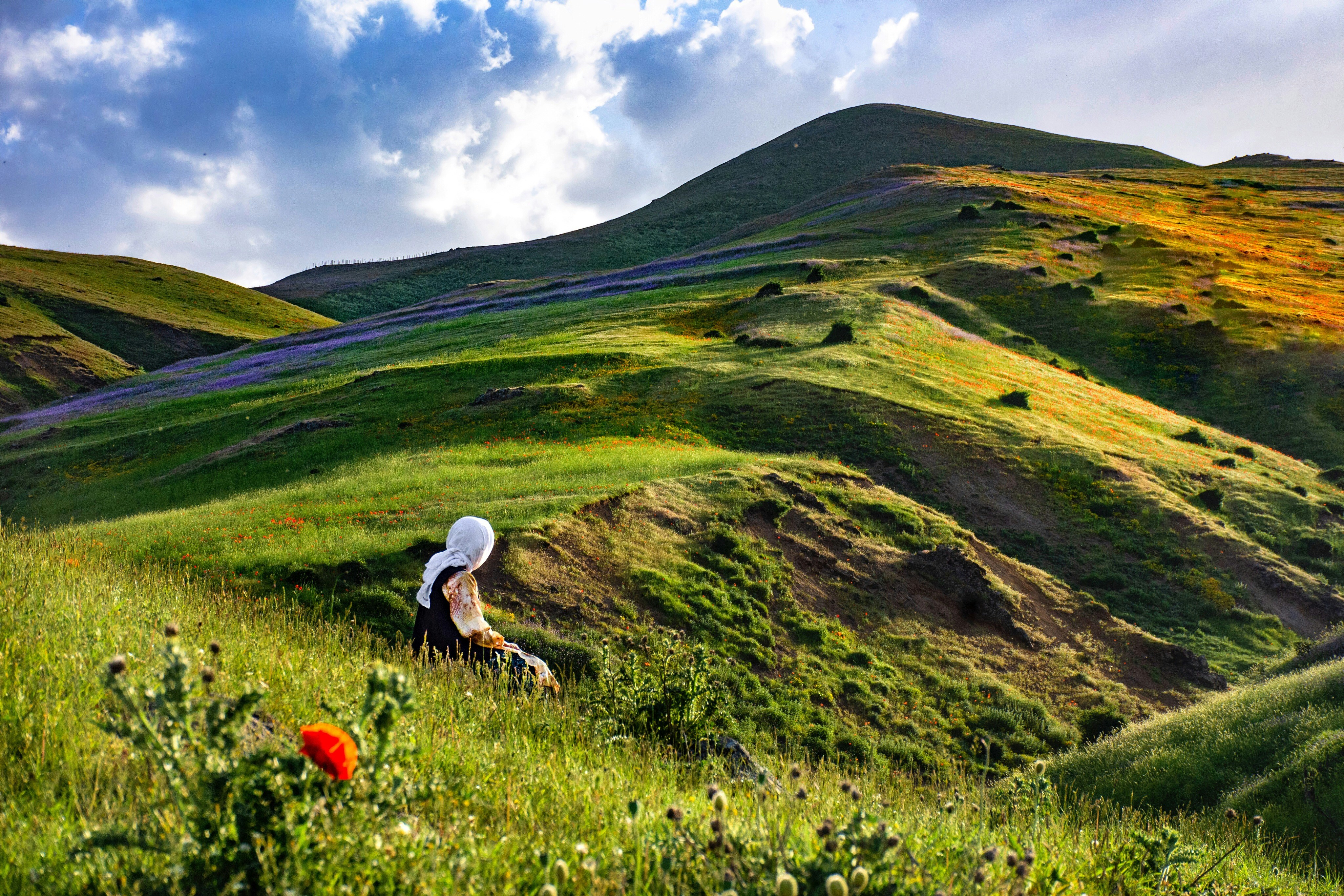 Iran Nature Pictures | Download Free Images on Unsplash
