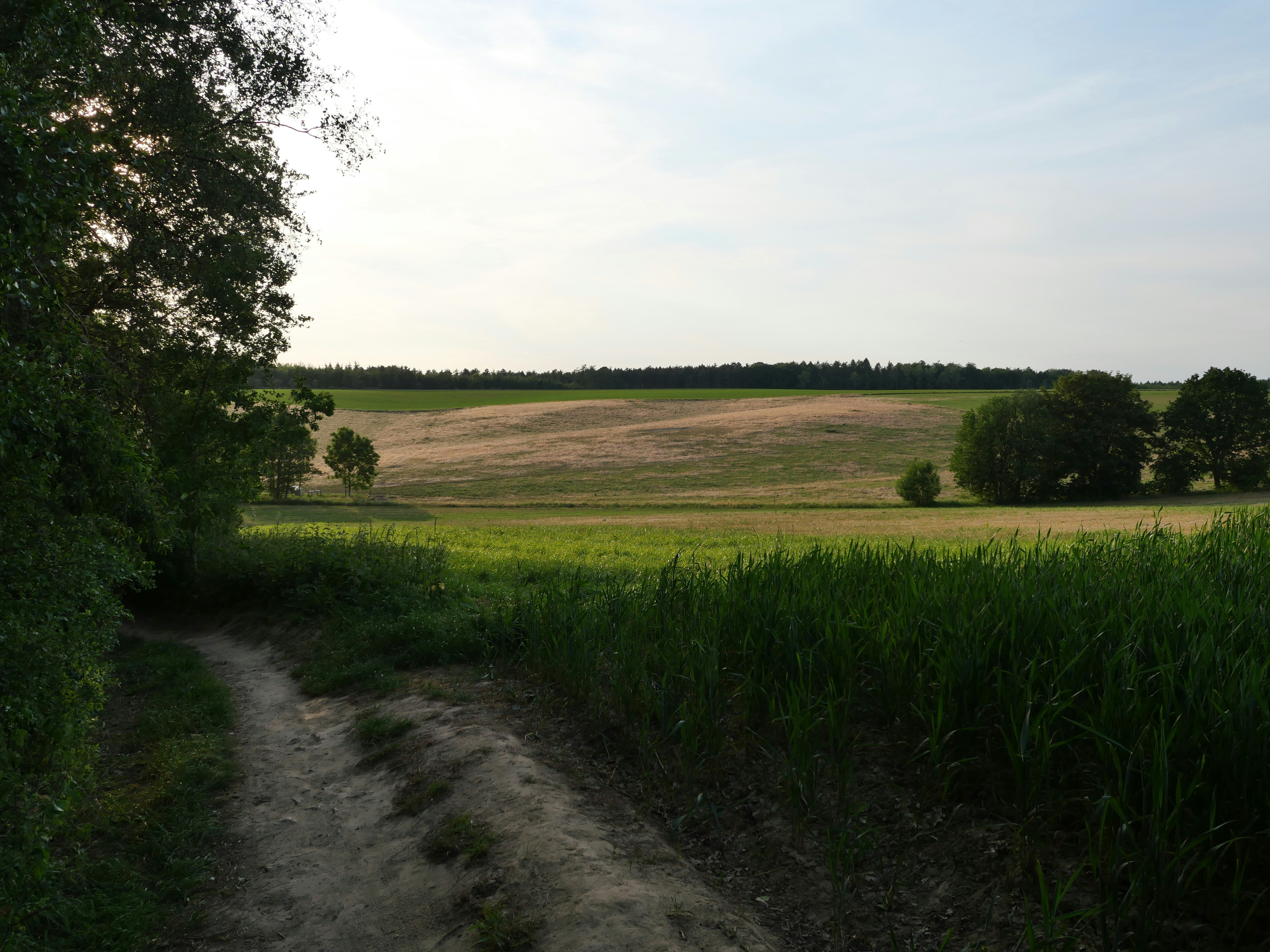 Lush green fields stretch under a soft sky, framed by trees and a winding path leading into the landscape.