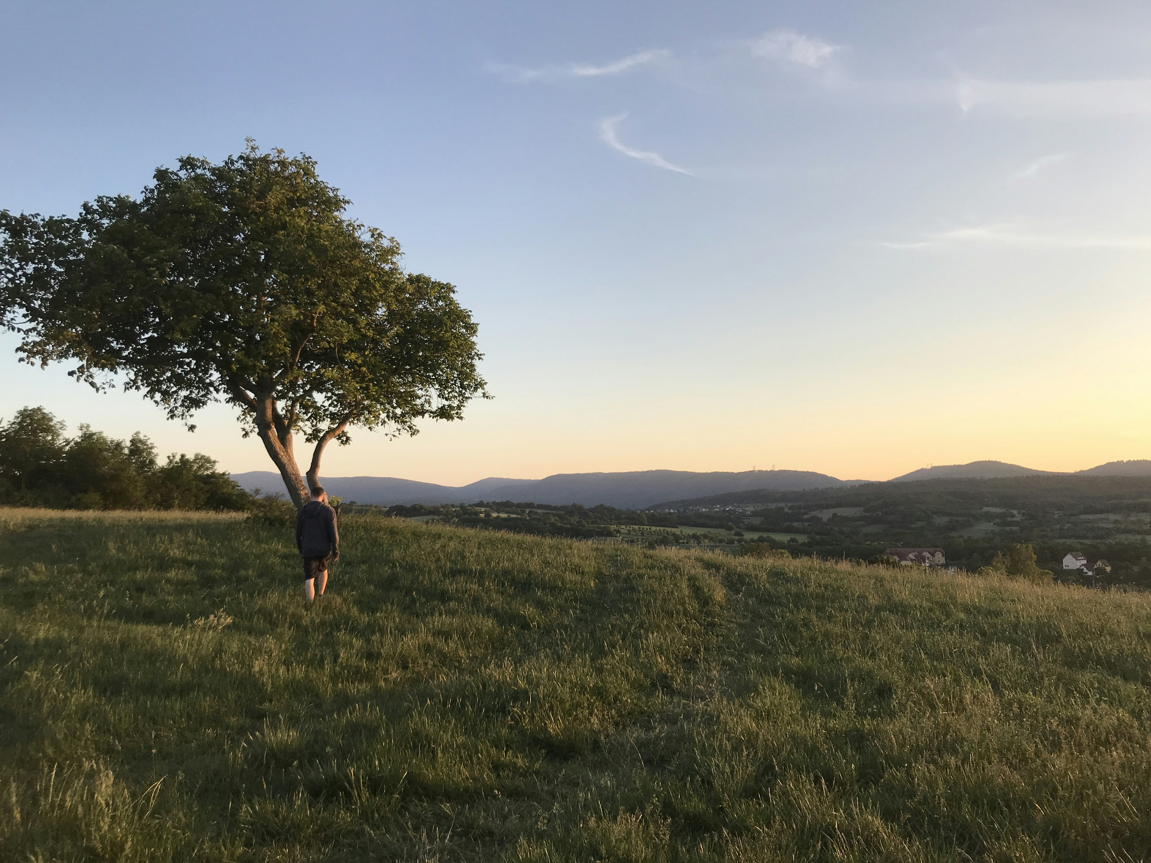 Lone Figure Beneath a Wind-Swept Tree at Golden Hour Over a Rolling Valley