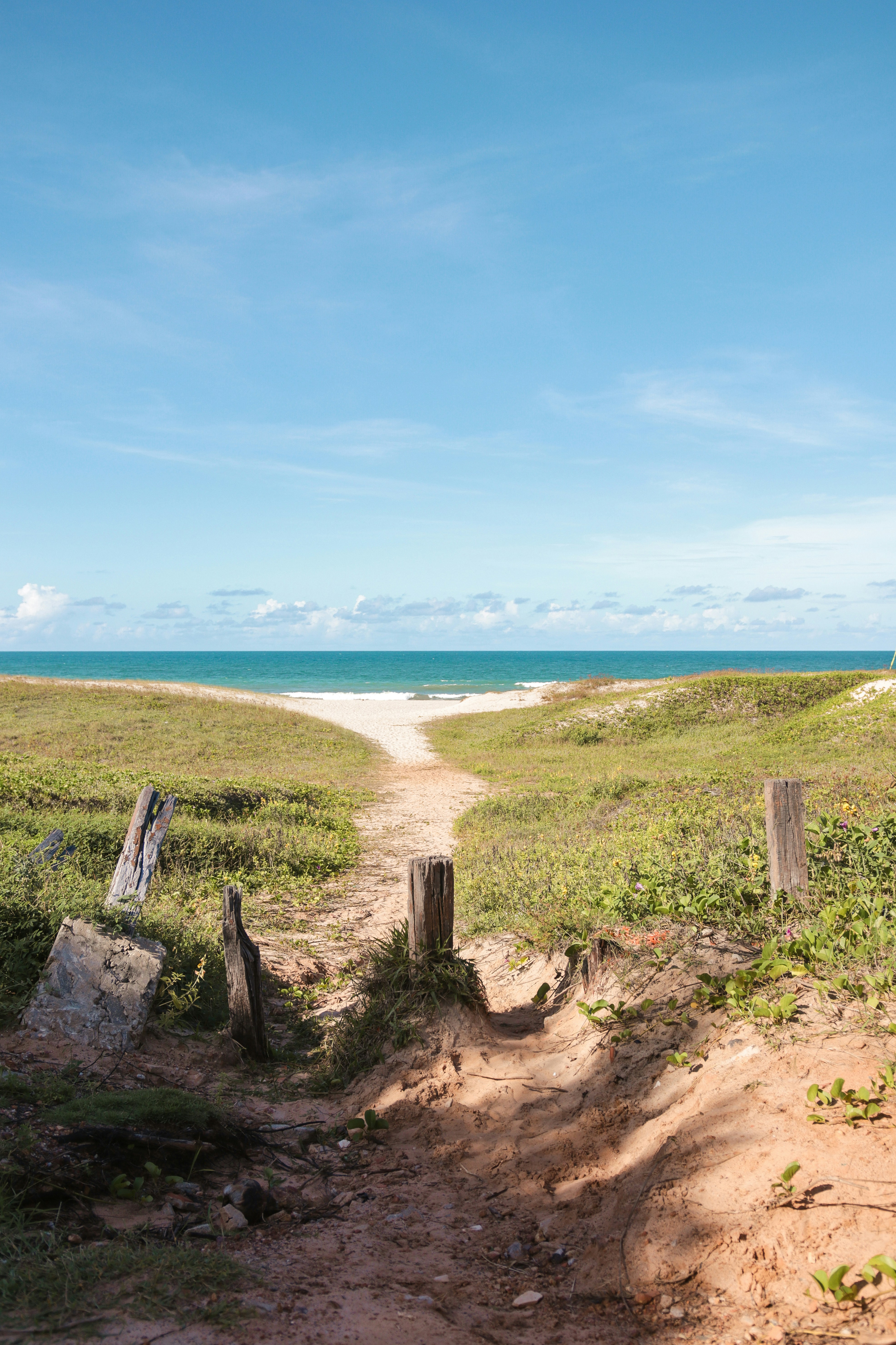 The way to the waves | brown wood log on brown sand near body of water during daytime