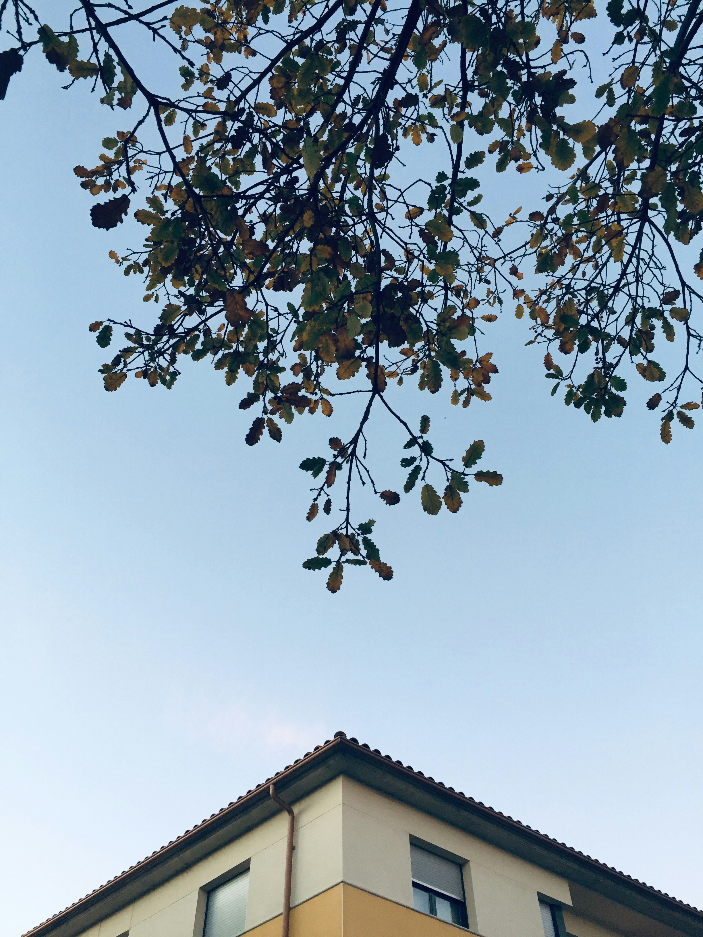 Felipe Pedruski (@fpedruski) | Unsplash Photo Community