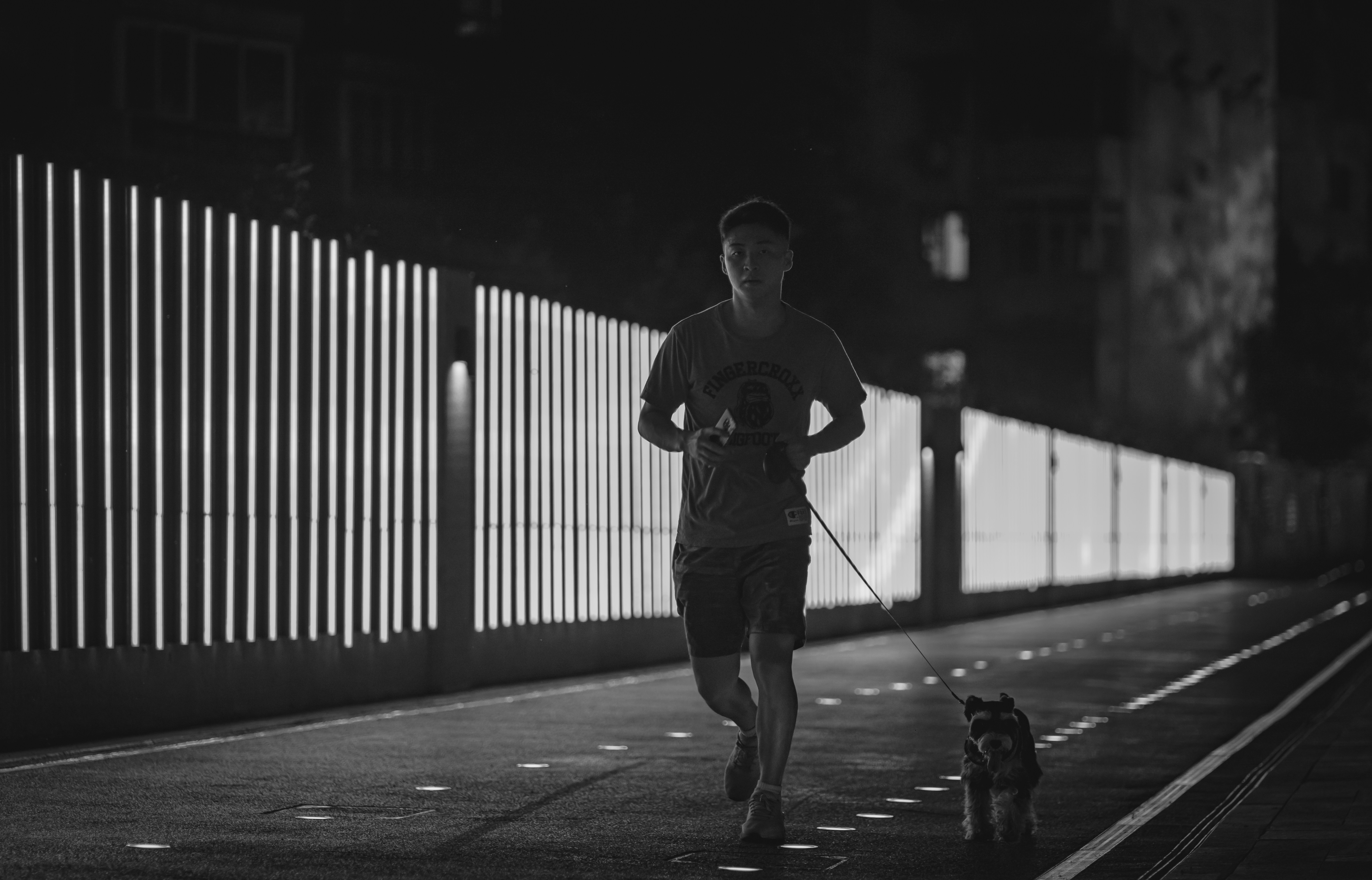 Night Run with a Loyal Companion