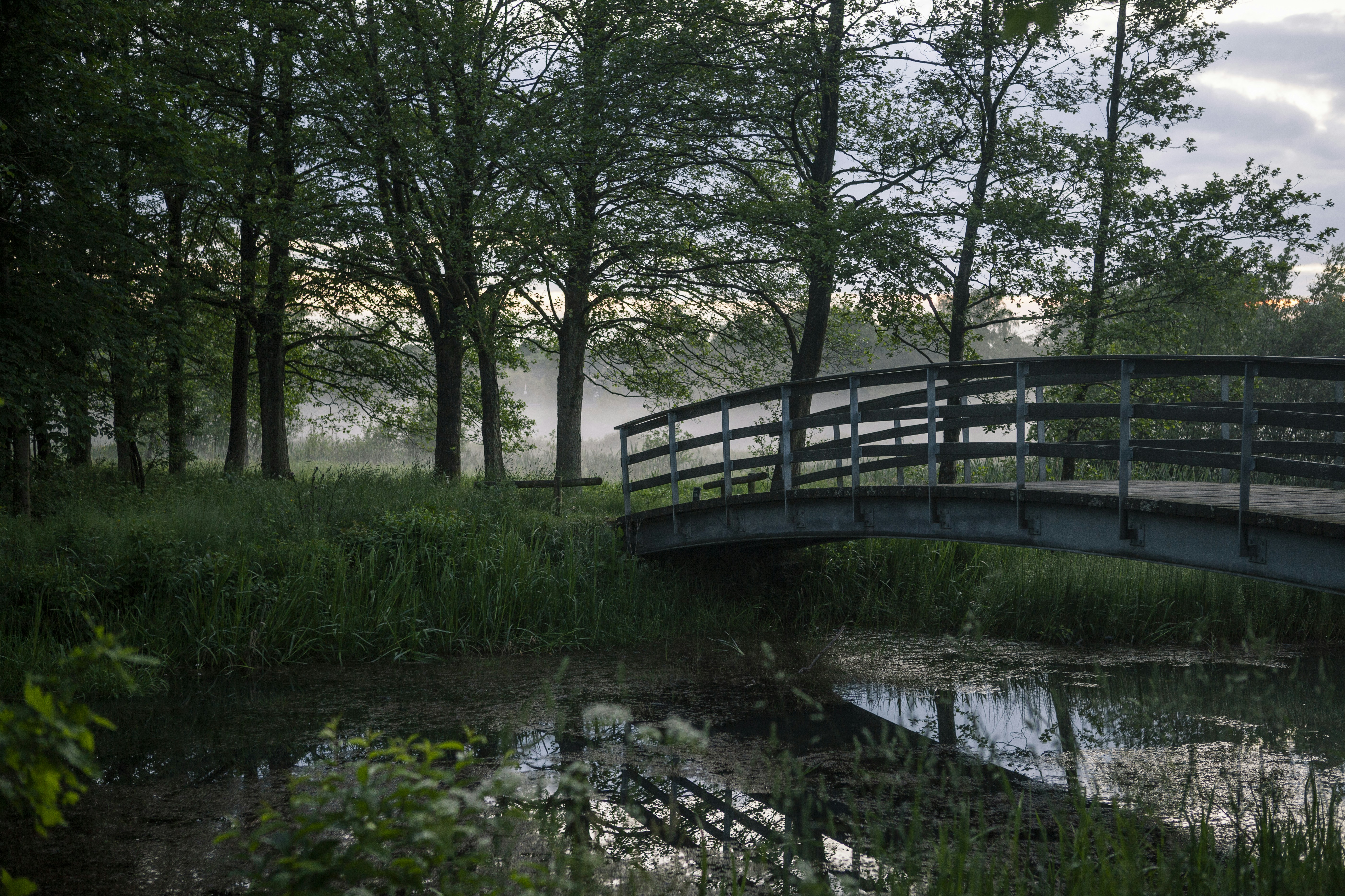 Wooden bridge arches over a reflective river amidst a misty, tree-lined landscape.