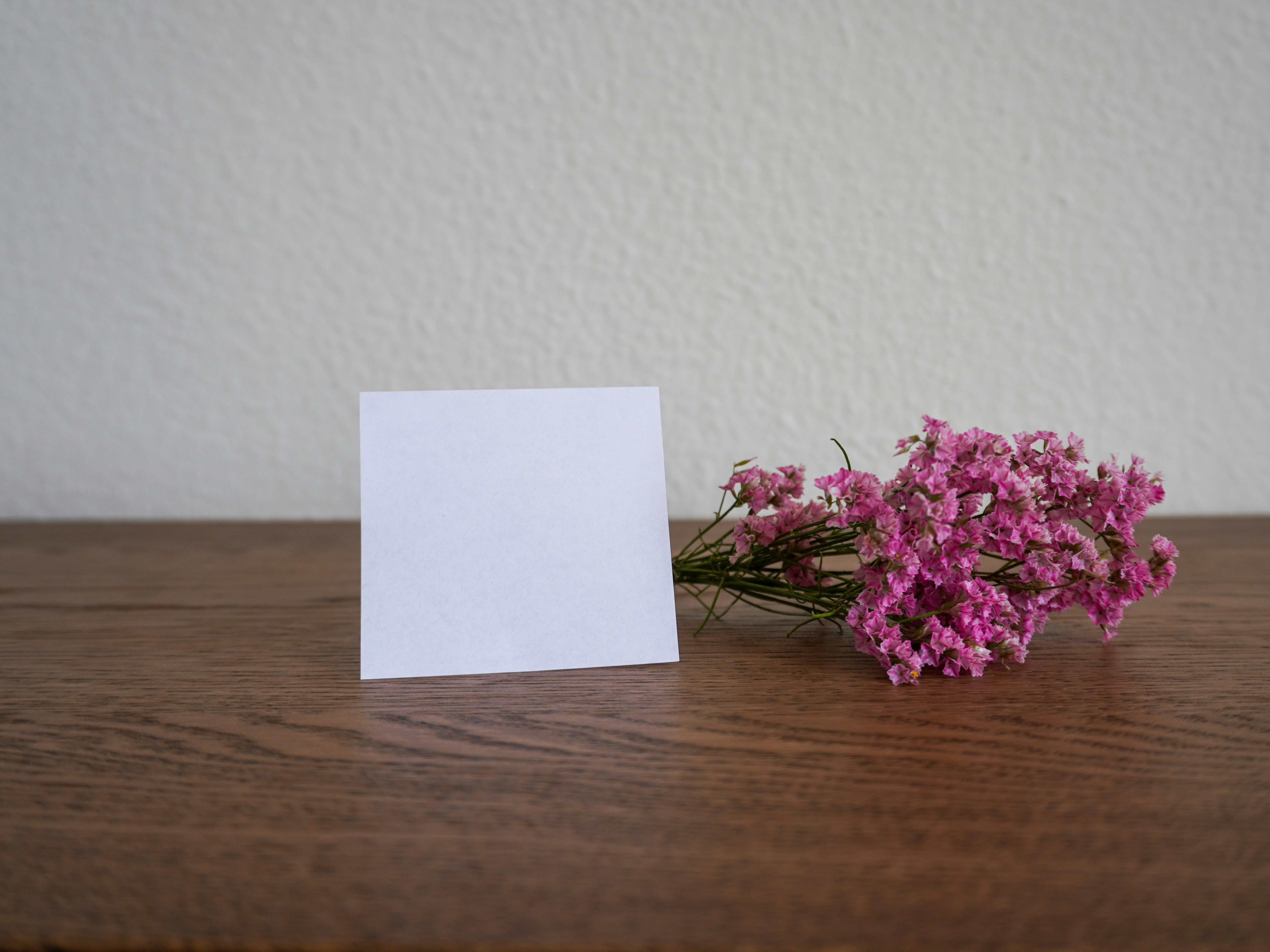 Andrew Dunstan (@theesplanadeshop) | Unsplash Photo Community