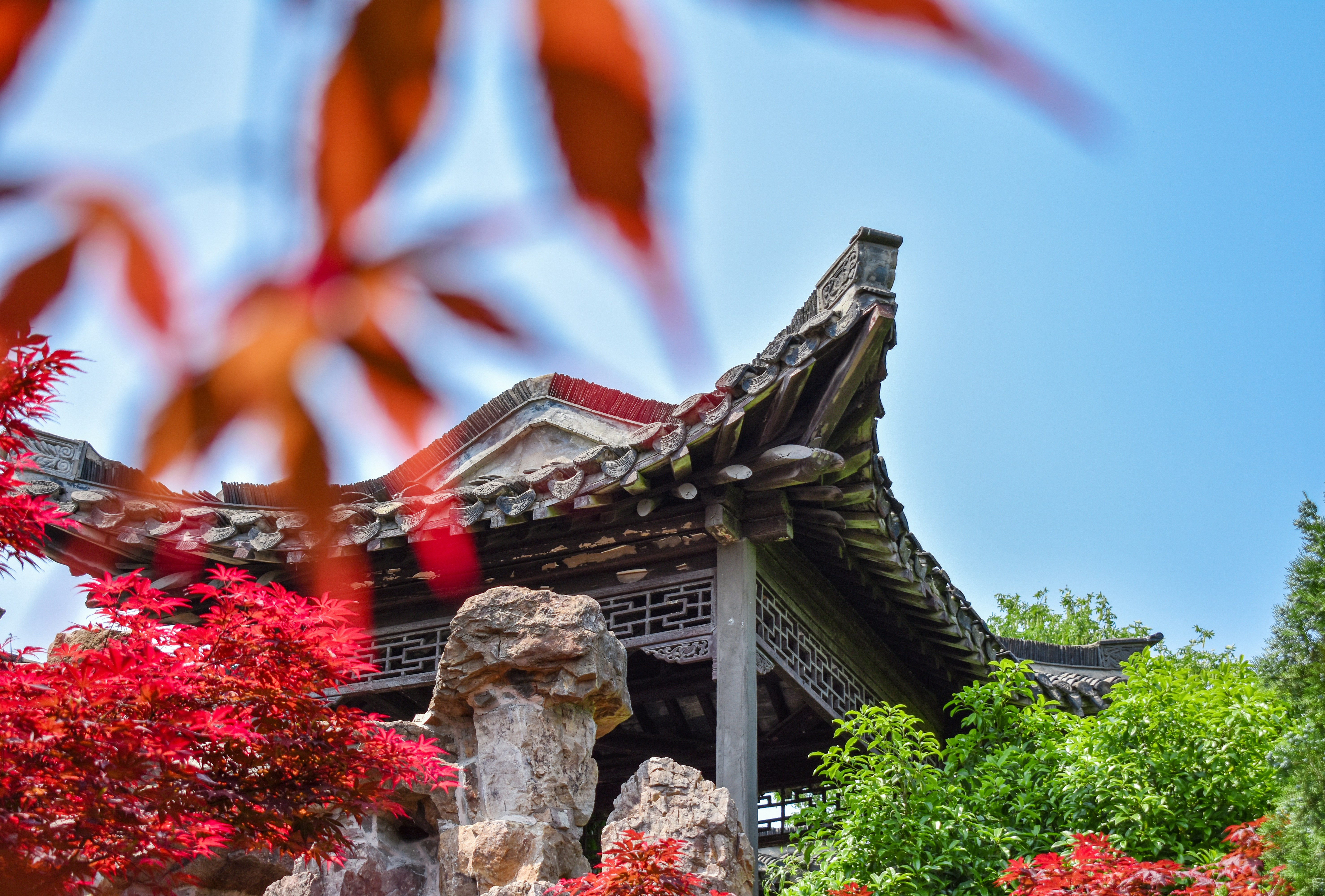 Traditional Asian architecture framed by vibrant red and green foliage under a clear blue sky.