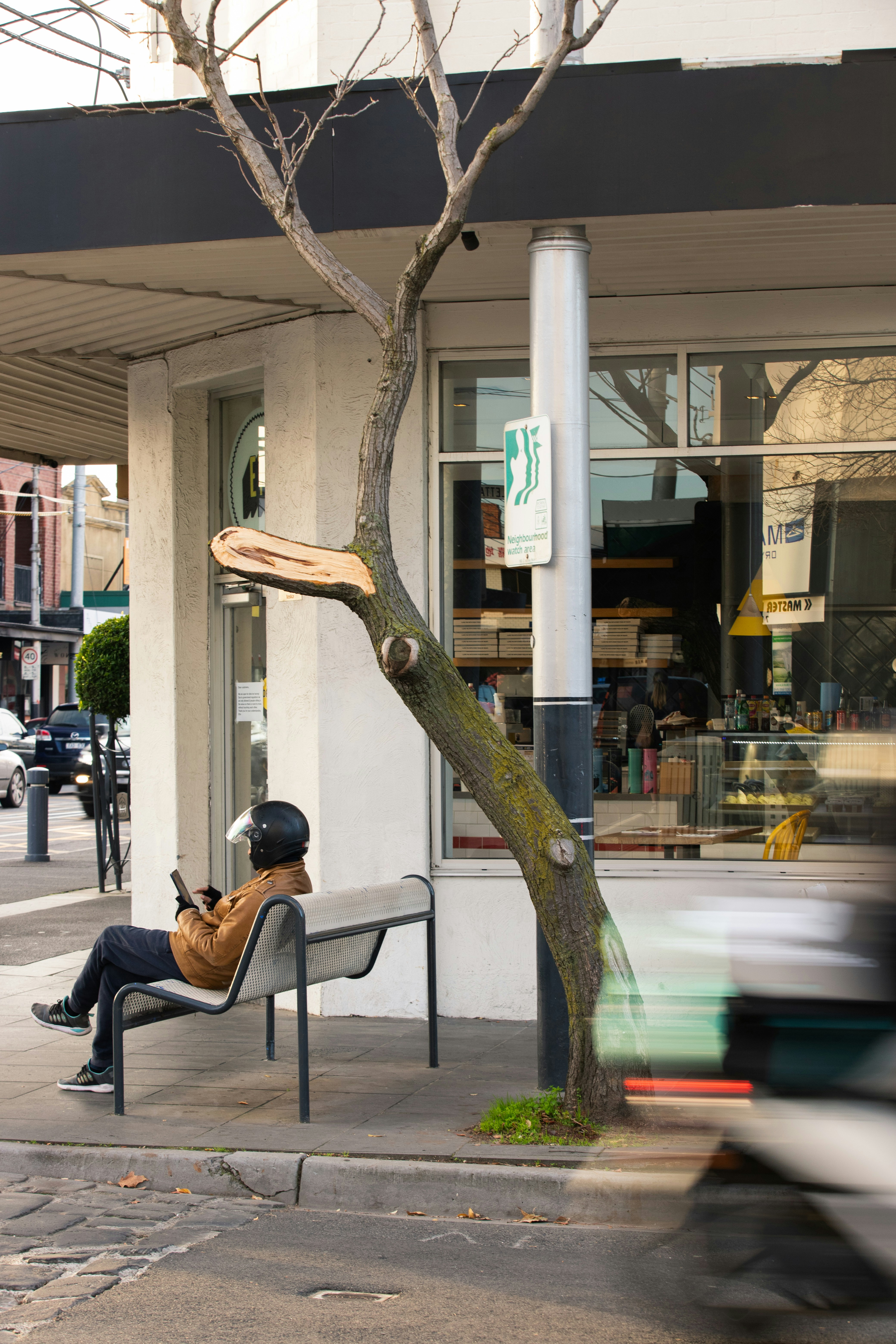 Helmeted Pause on a City Bench Beneath a Pruned Tree
