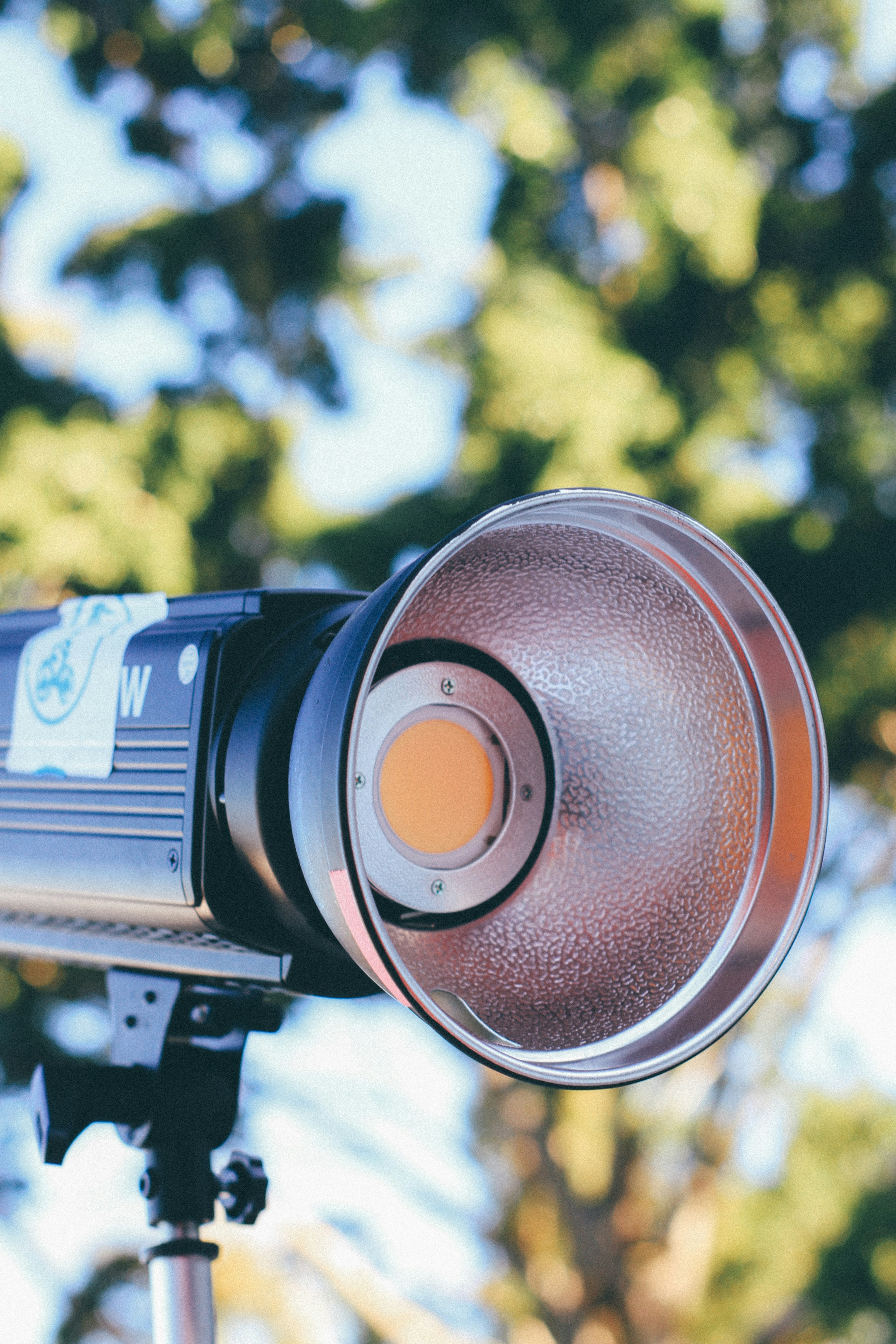 Stellar Light: A studio flash head in sharp focus against a sunlit canopy