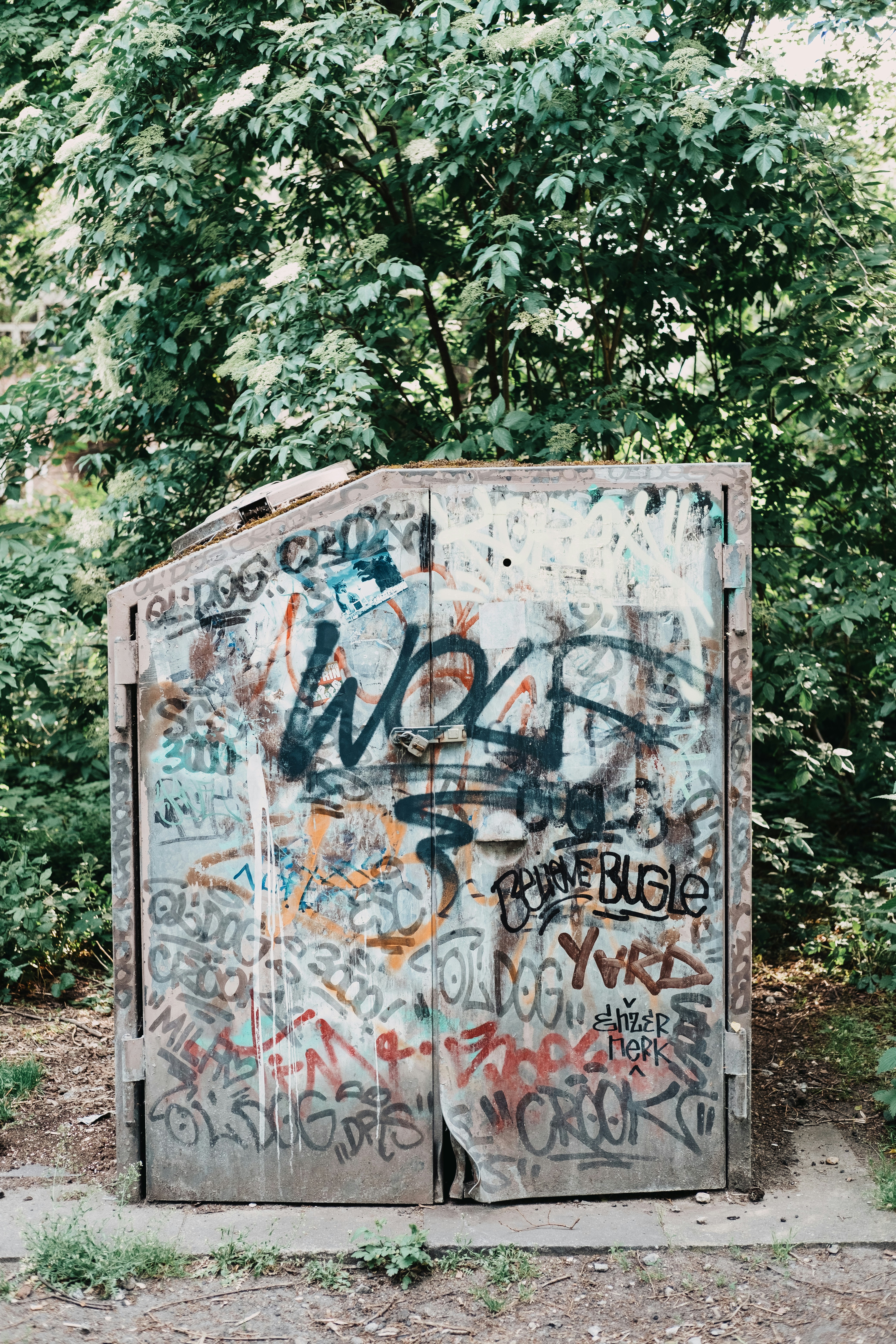 The Green Cage: Graffiti-Stamped Metal Box Nestled in Park Foliage