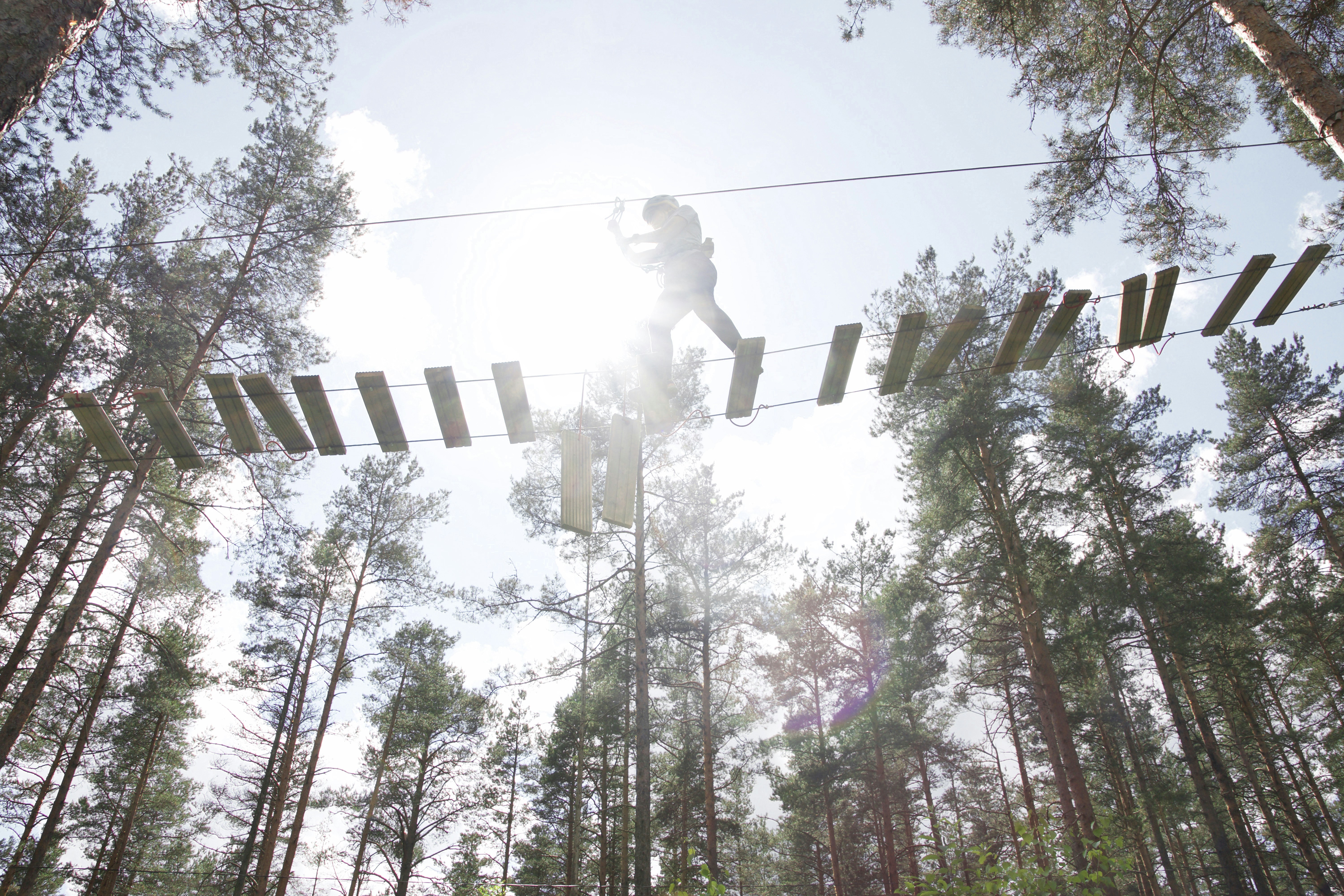A Skywalker Crossing: Balance Above the Pines