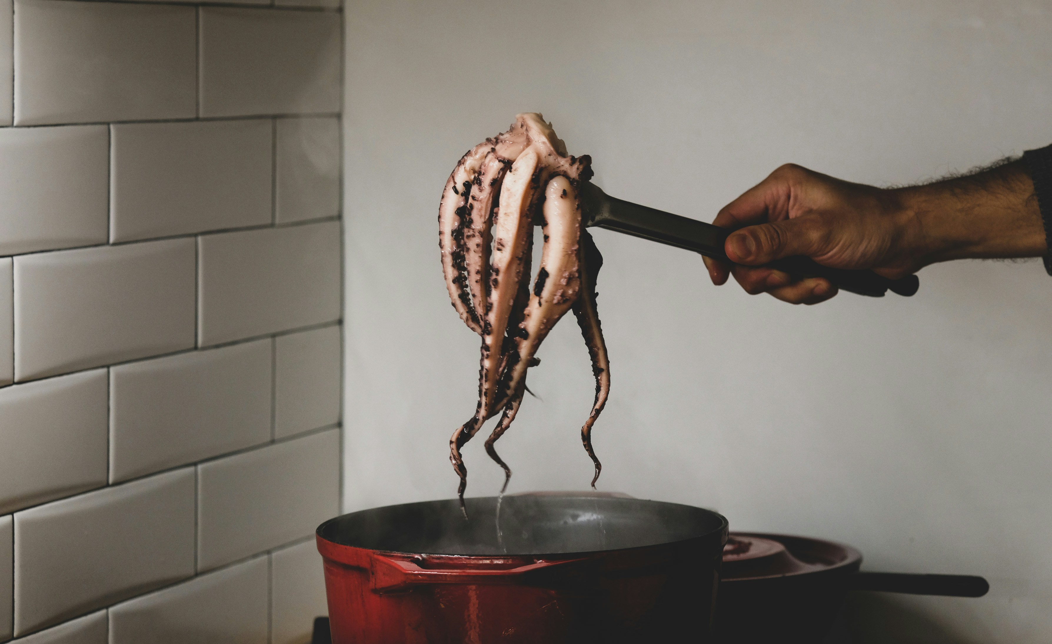 Steam-Born Tentacles: A Hand Lifts Octopus from the Pot