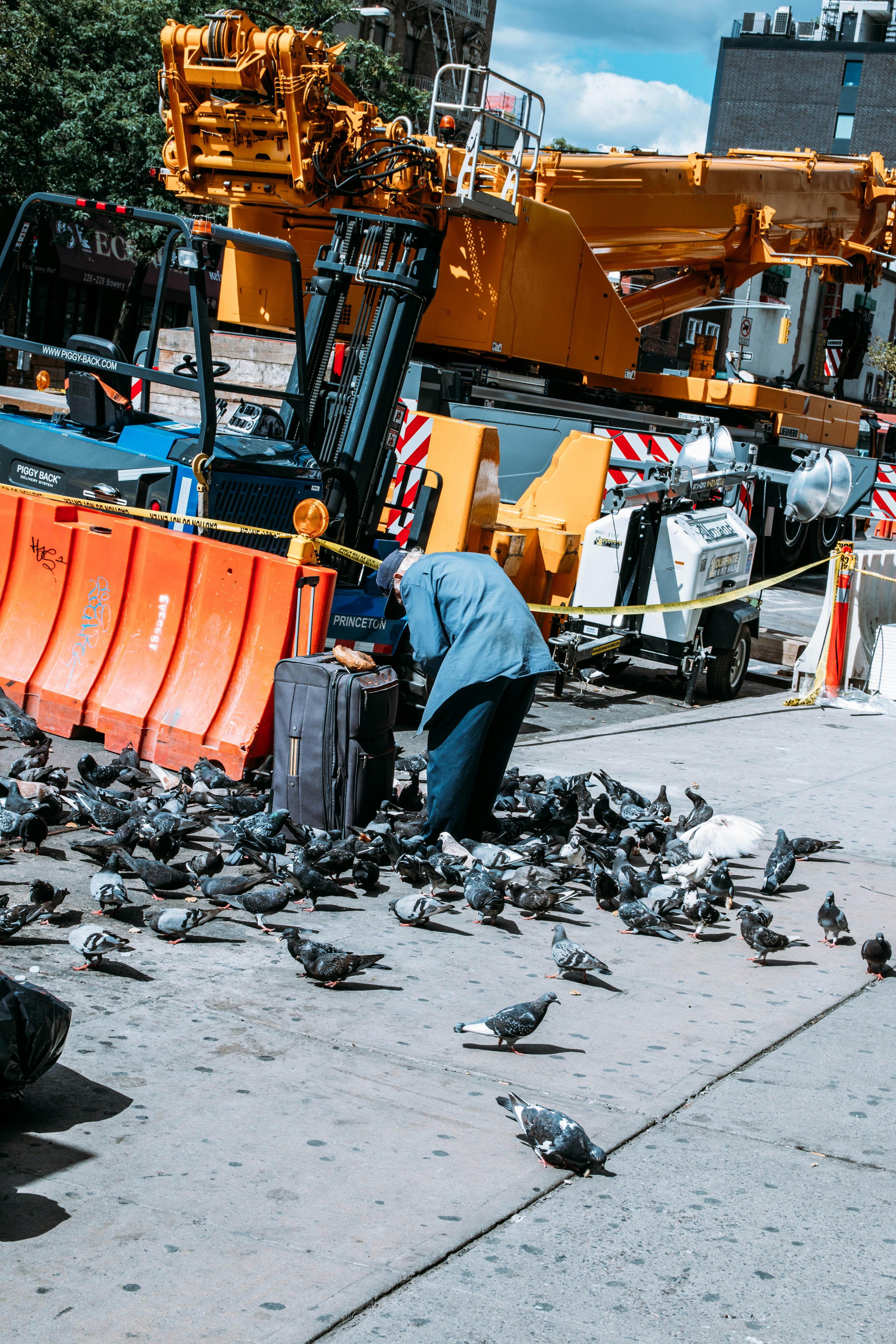 Blue Jacket at the Edge of a City Crane: Pigeons Gather on a Busy Street