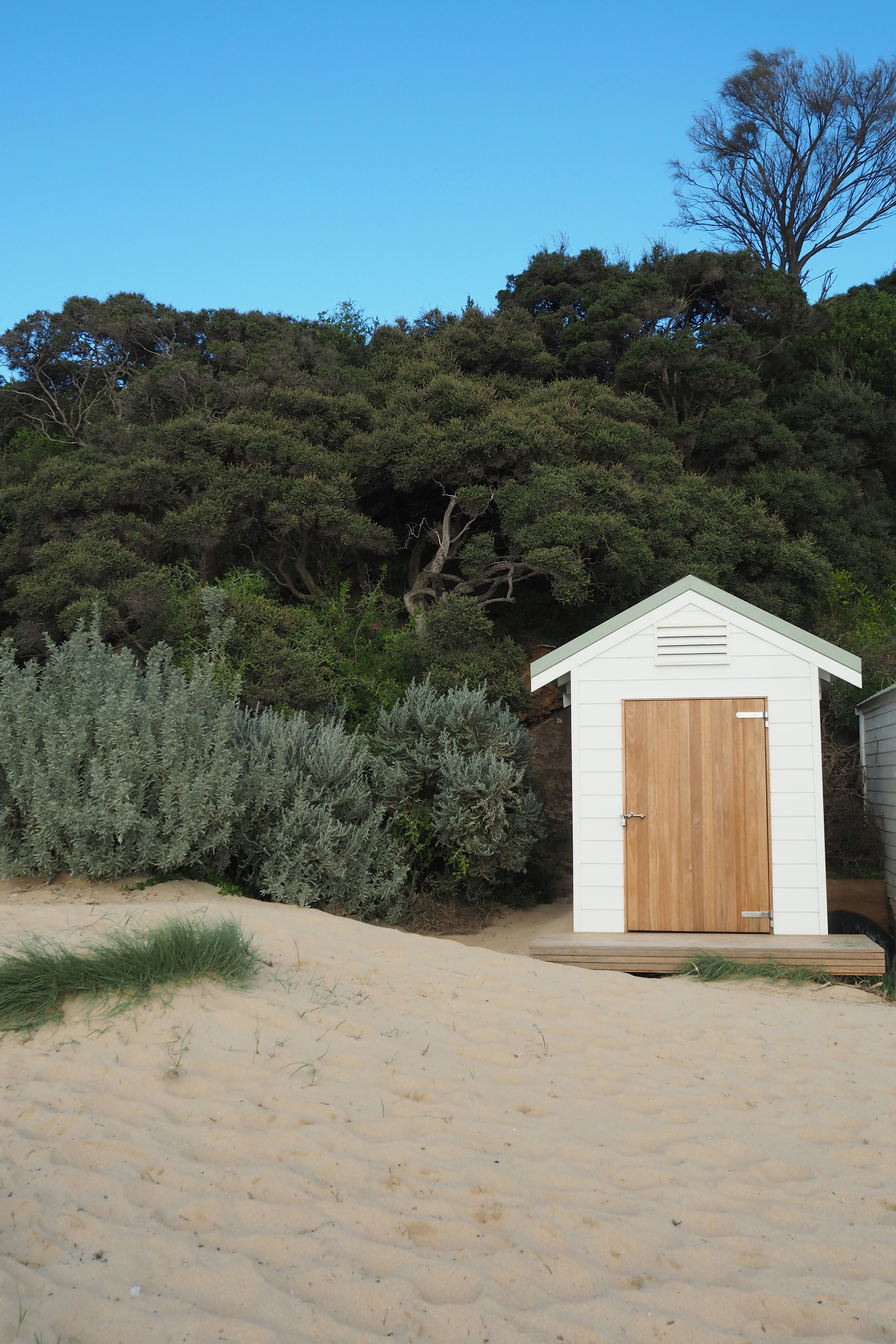 A quaint beach hut nestled among lush greenery and sandy dunes, exuding a serene coastal vibe.
