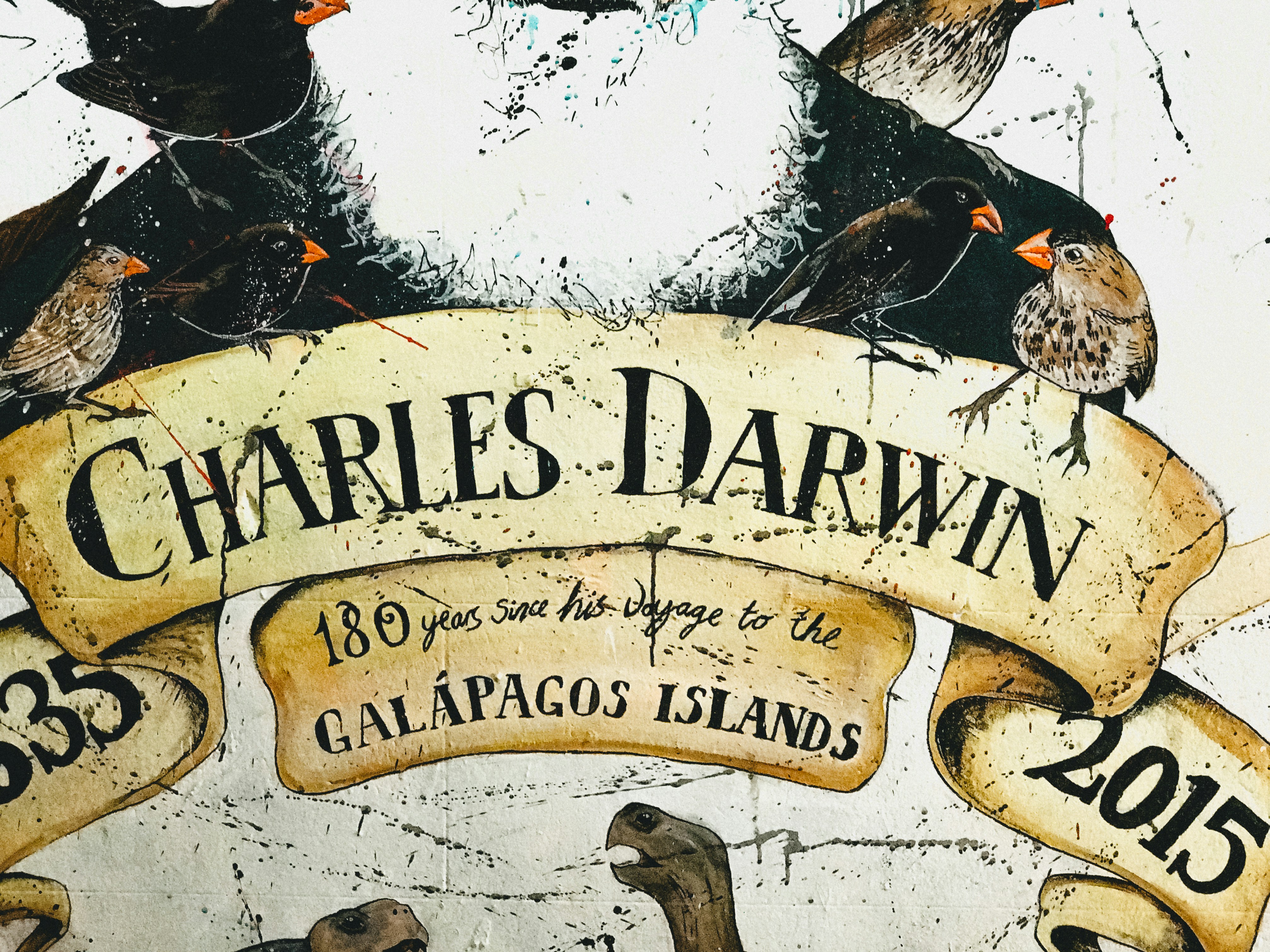 Darwin Banner Over a Galápagos Birds Mural